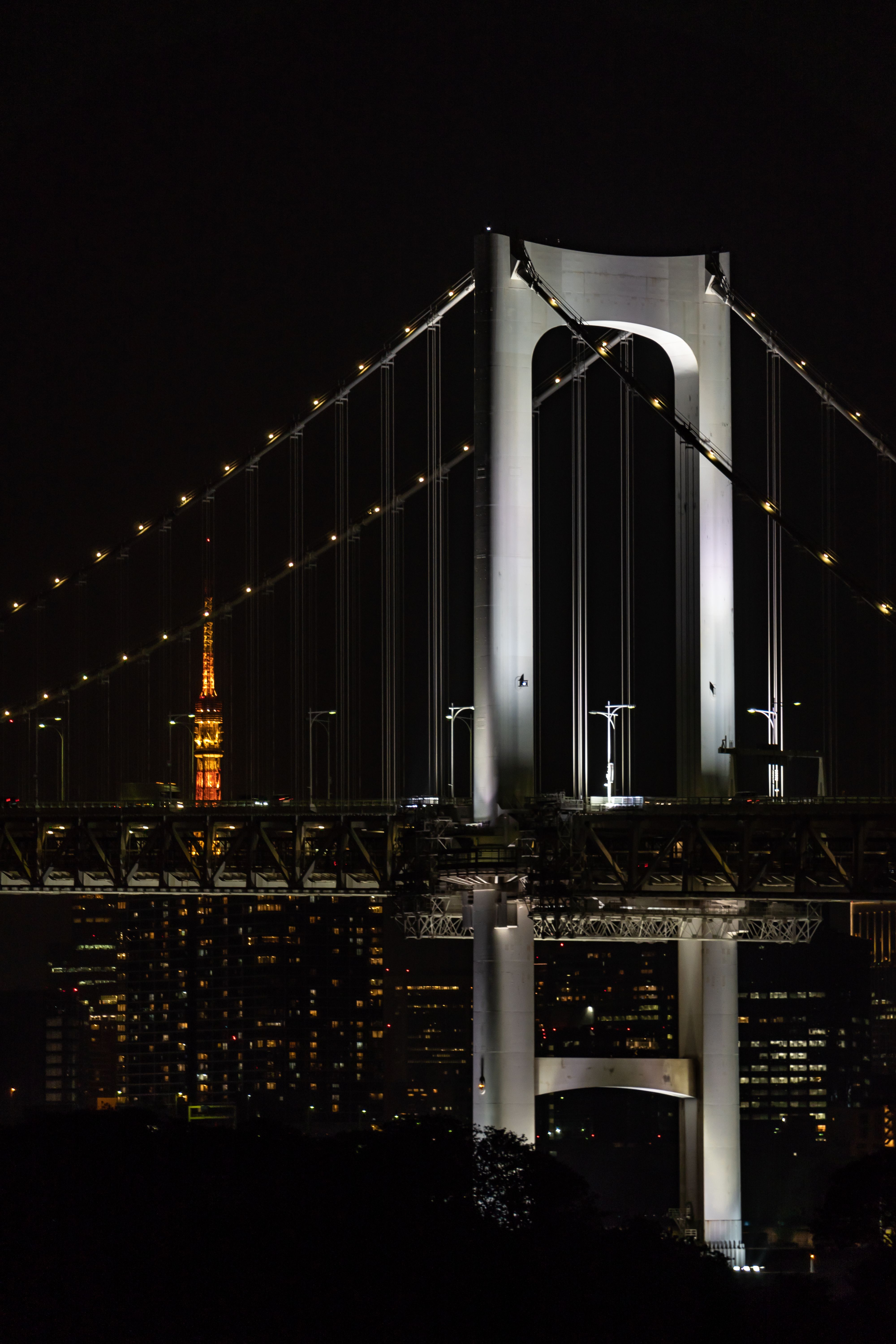 Suspension Bridge in Tokyo at Night · Free Stock Photo