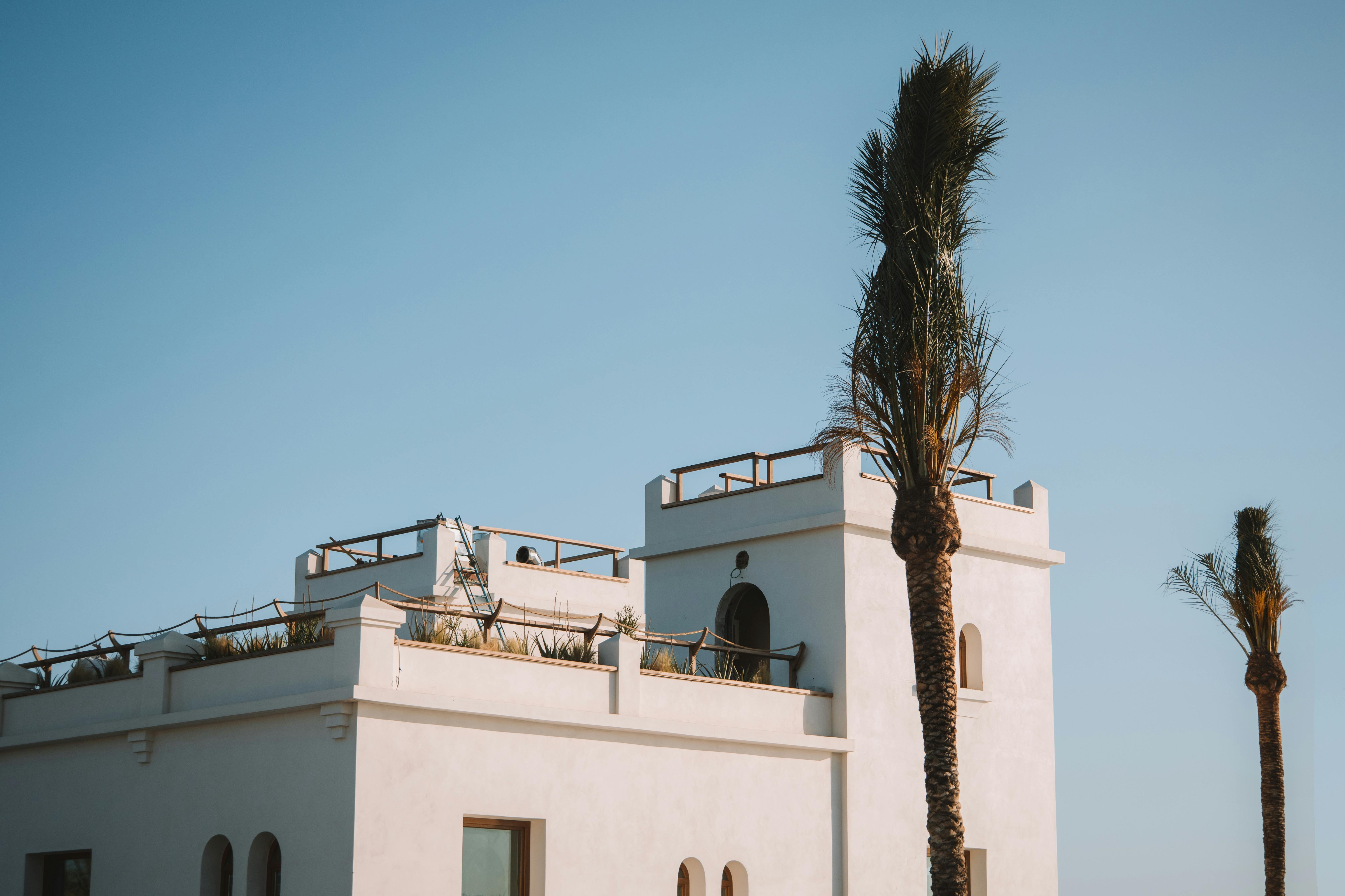 People Standing in Between Trees Near Buildings During Daytime · Free ...
