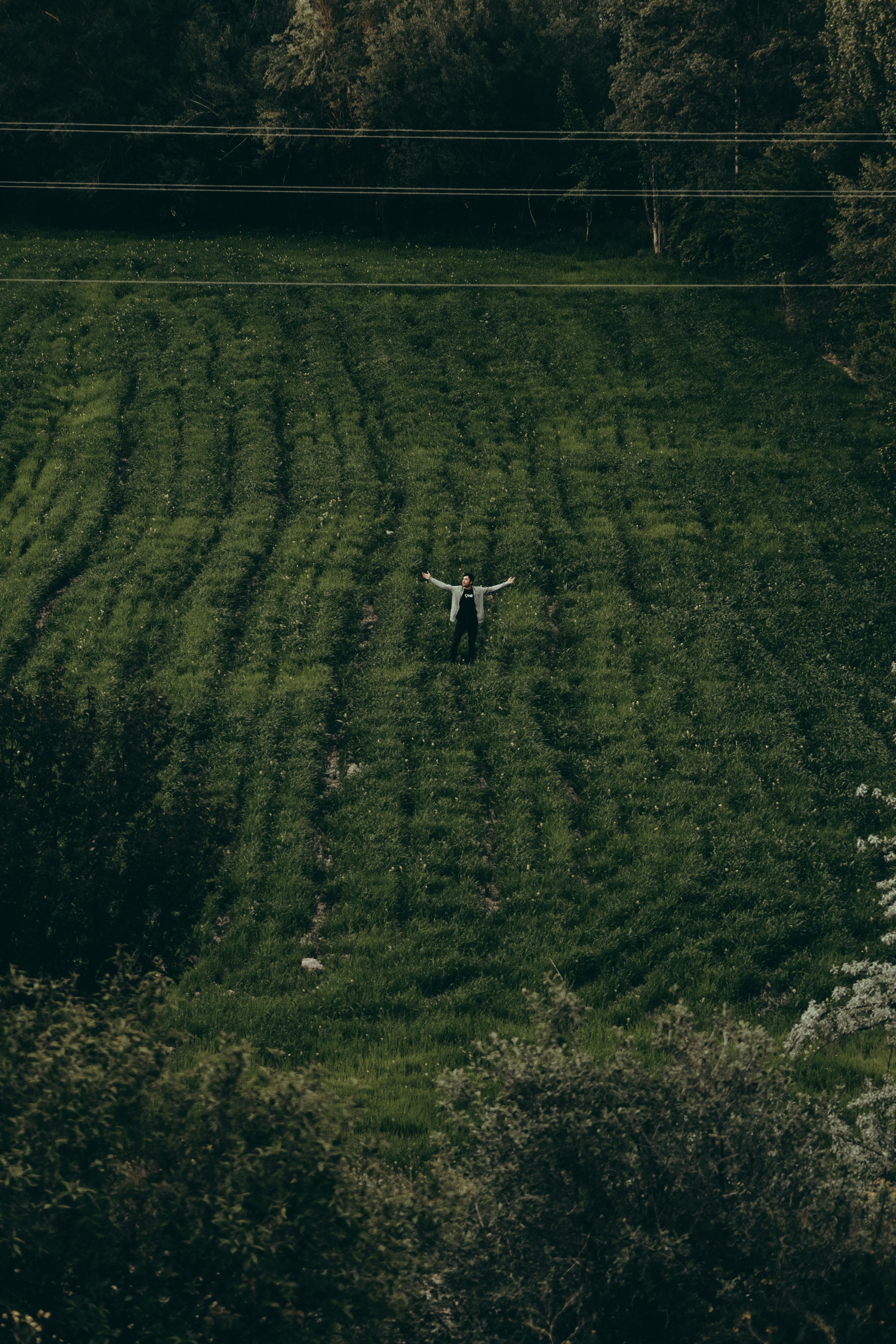 A person is standing in a field · Free Stock Photo