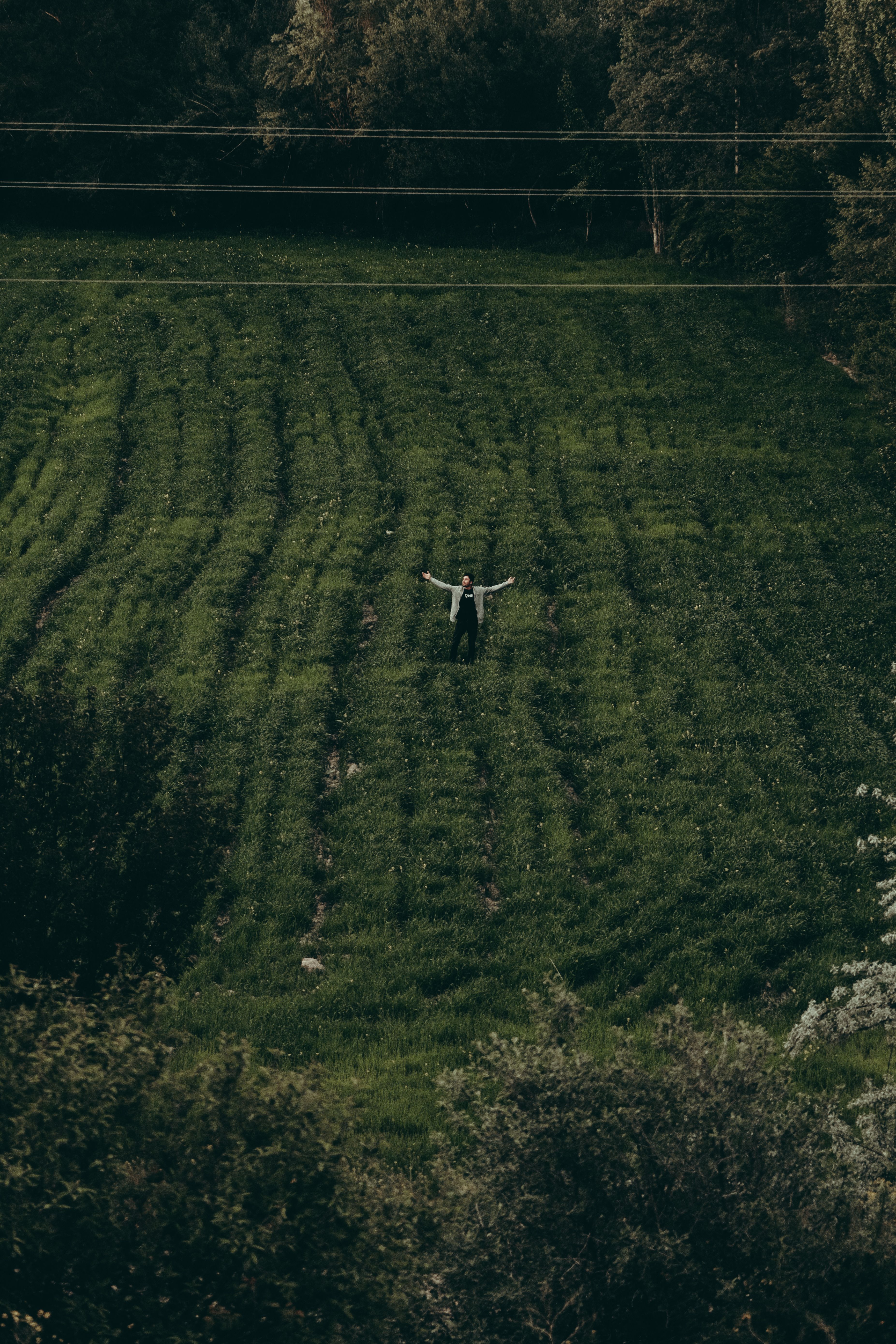 A person is standing in a field · Free Stock Photo