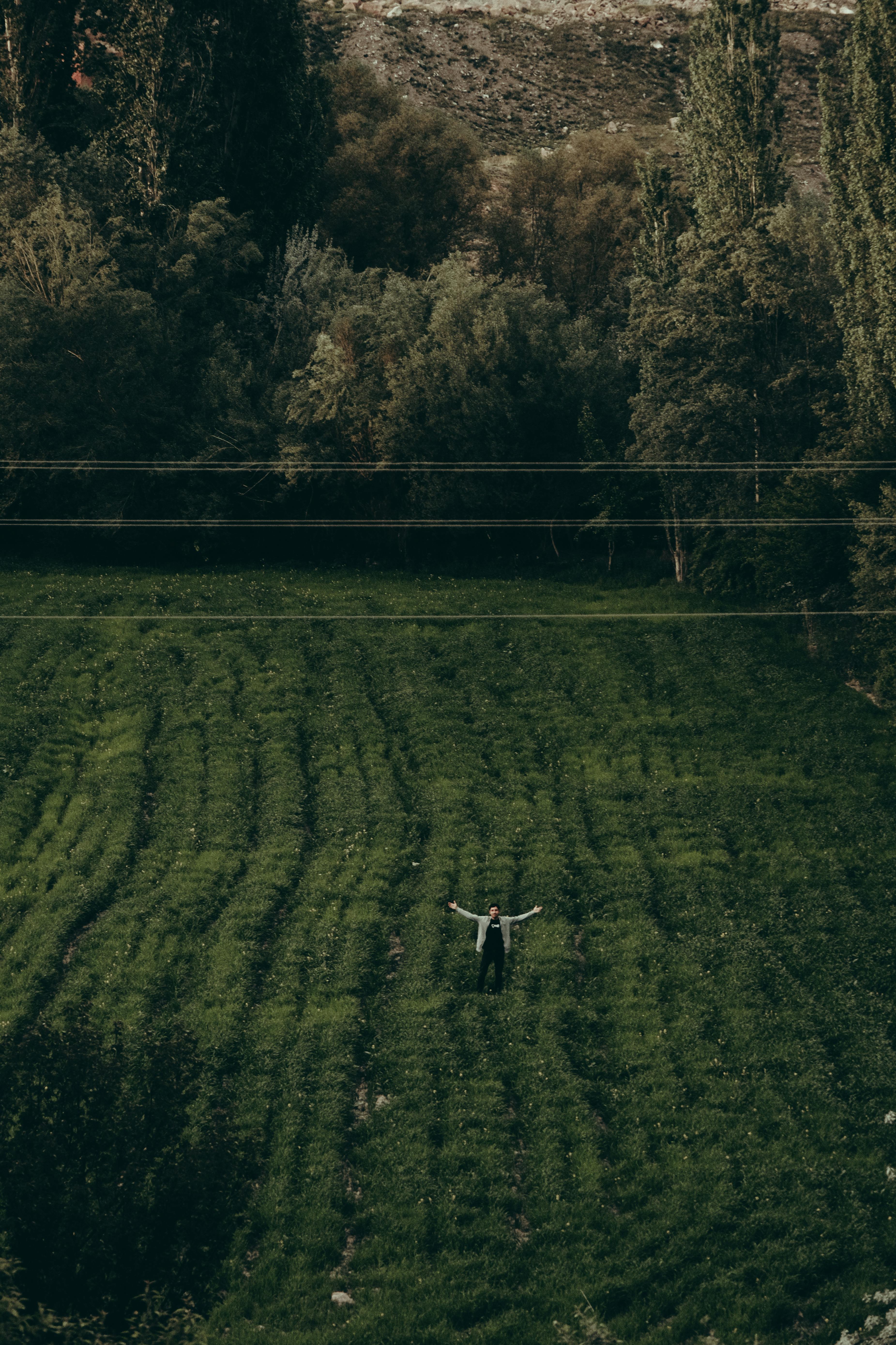 Freepik Photos, Download The BEST Free Freepik Stock Photos & HD Images