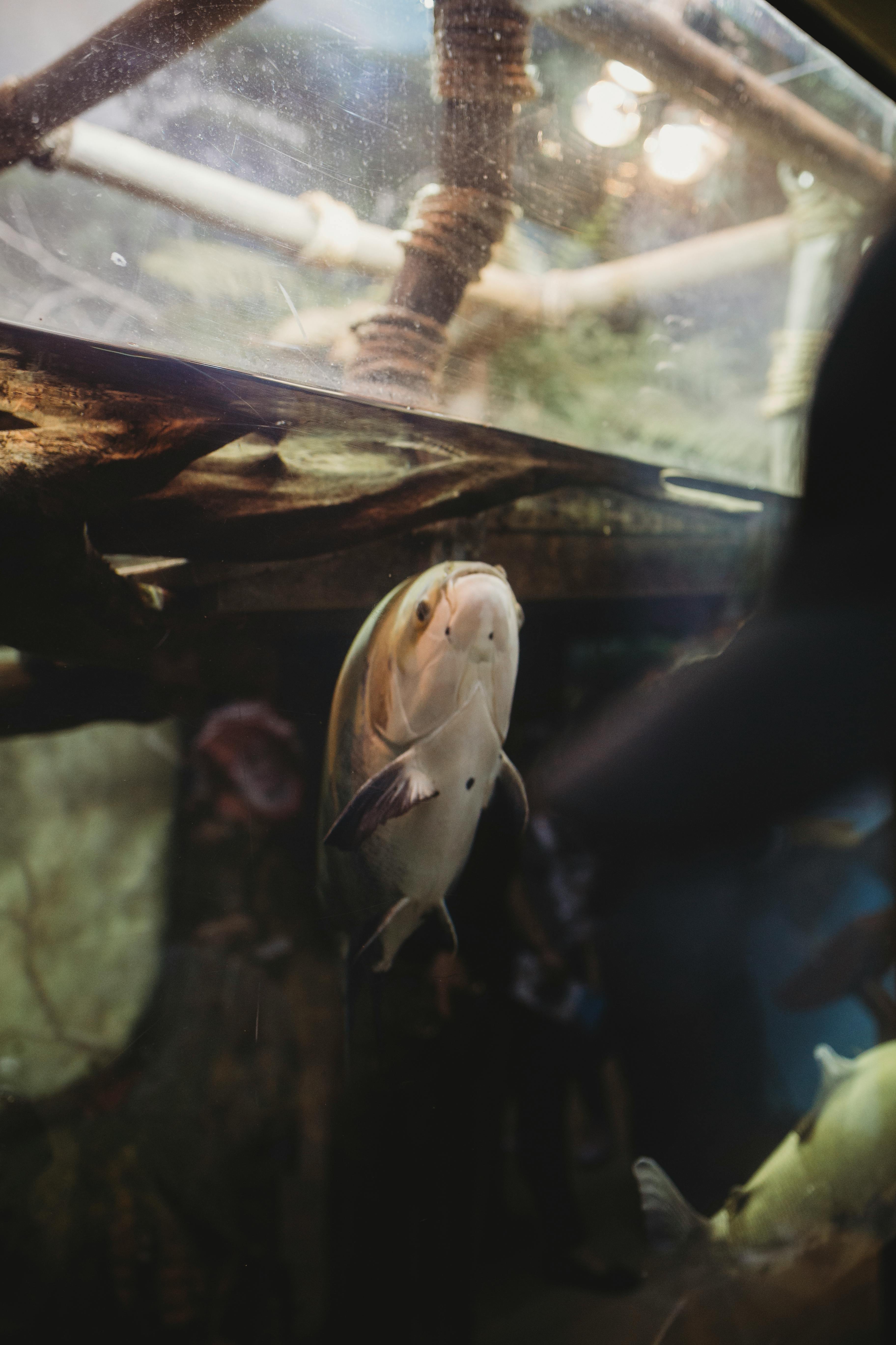 Danielle Rangel - 写真