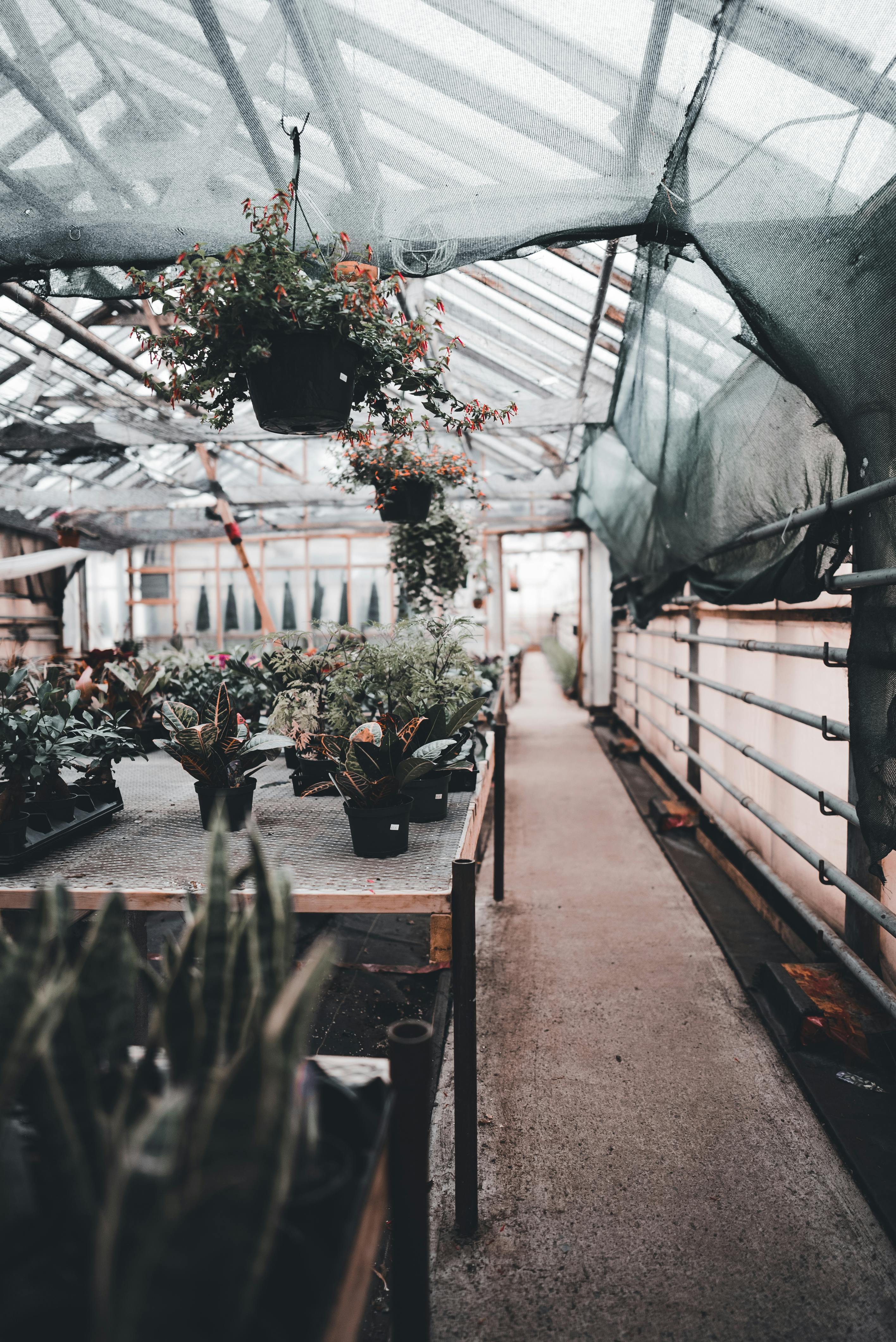 Washed Out Photos, Download The BEST Free Washed Out Stock Photos & HD ...