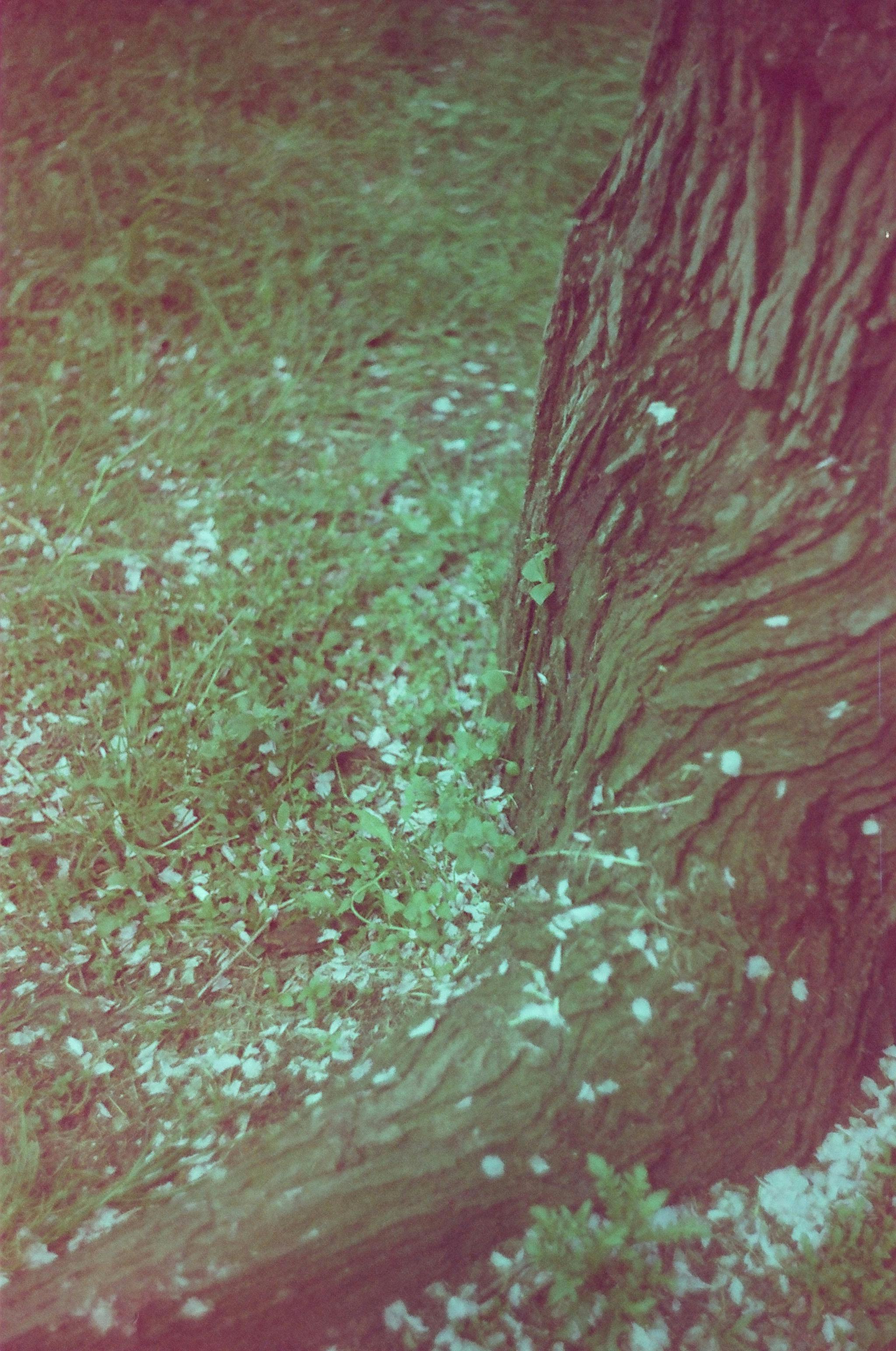 Cyan Photos, Download The BEST Free Cyan Stock Photos & HD Images