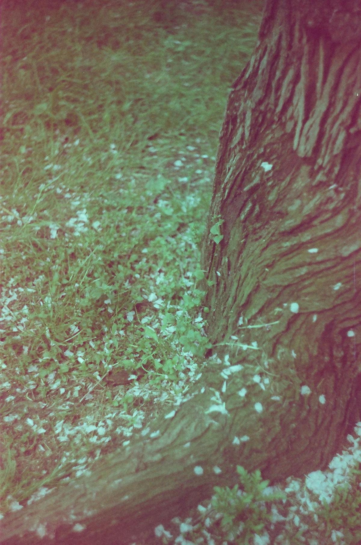 Cyan Photos, Download The BEST Free Cyan Stock Photos & HD Images