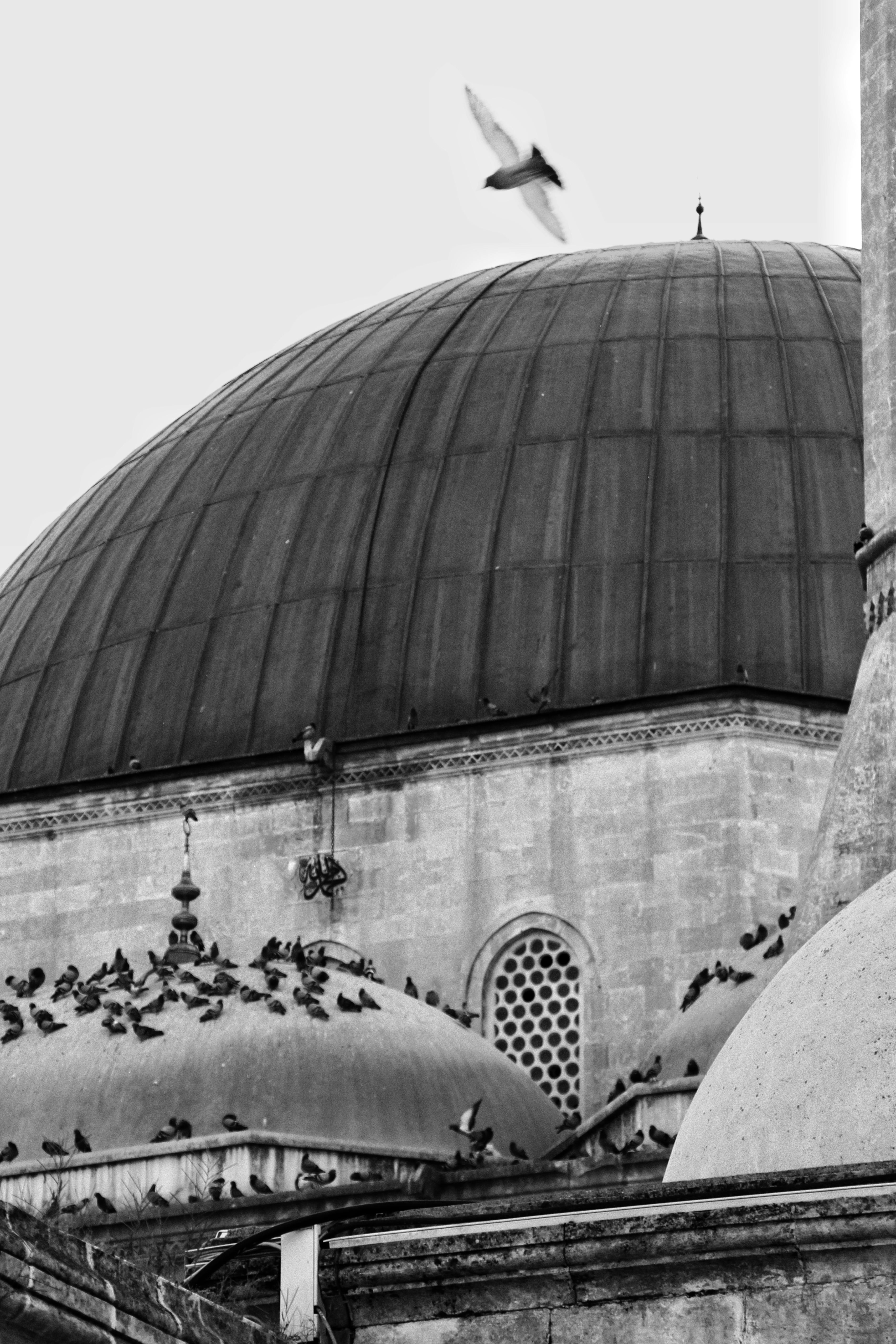 Stand with Koran in Mosque · Free Stock Photo