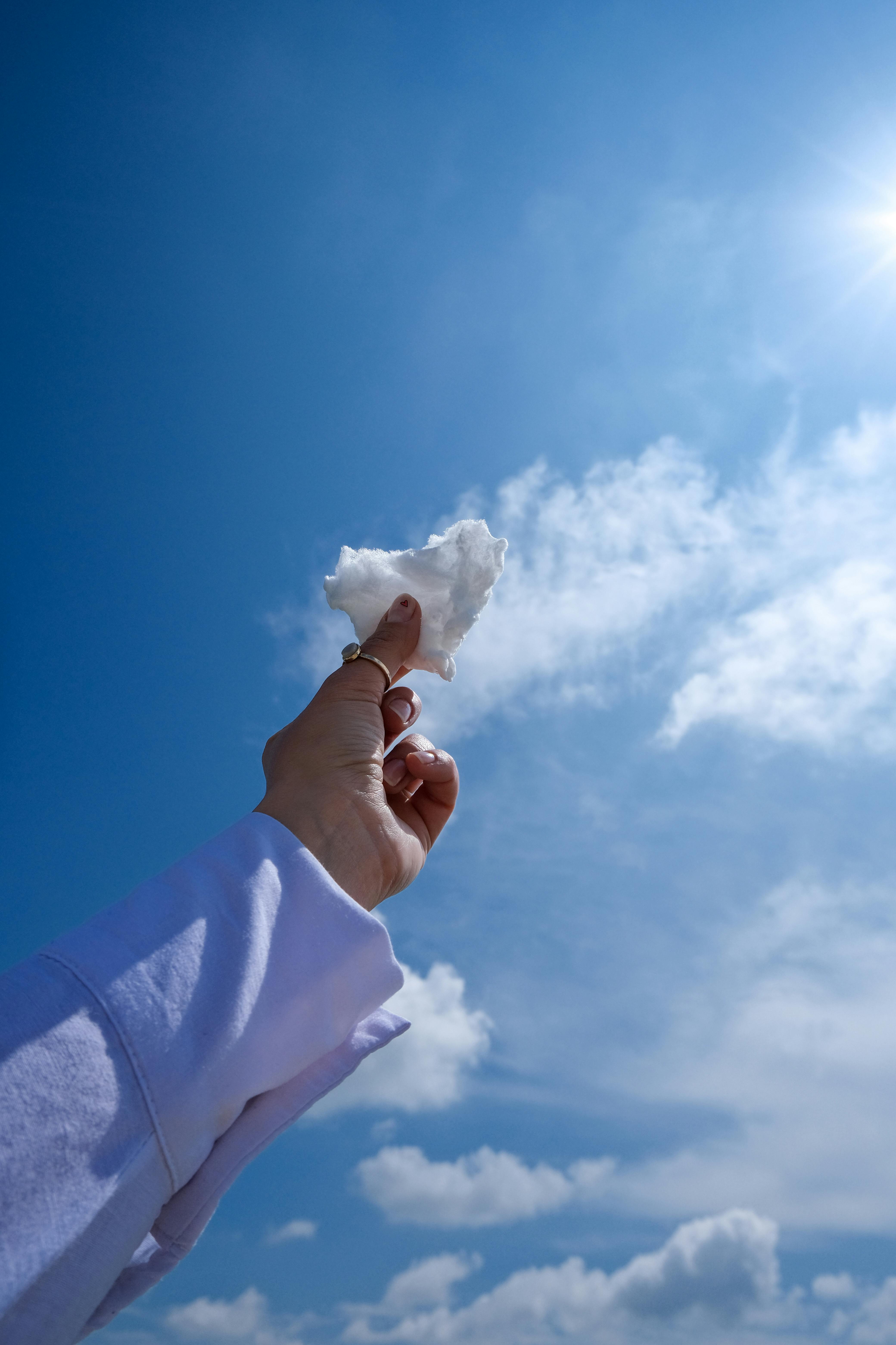 Free No Copyright Cotton Photos, Download The BEST Free Free No ...