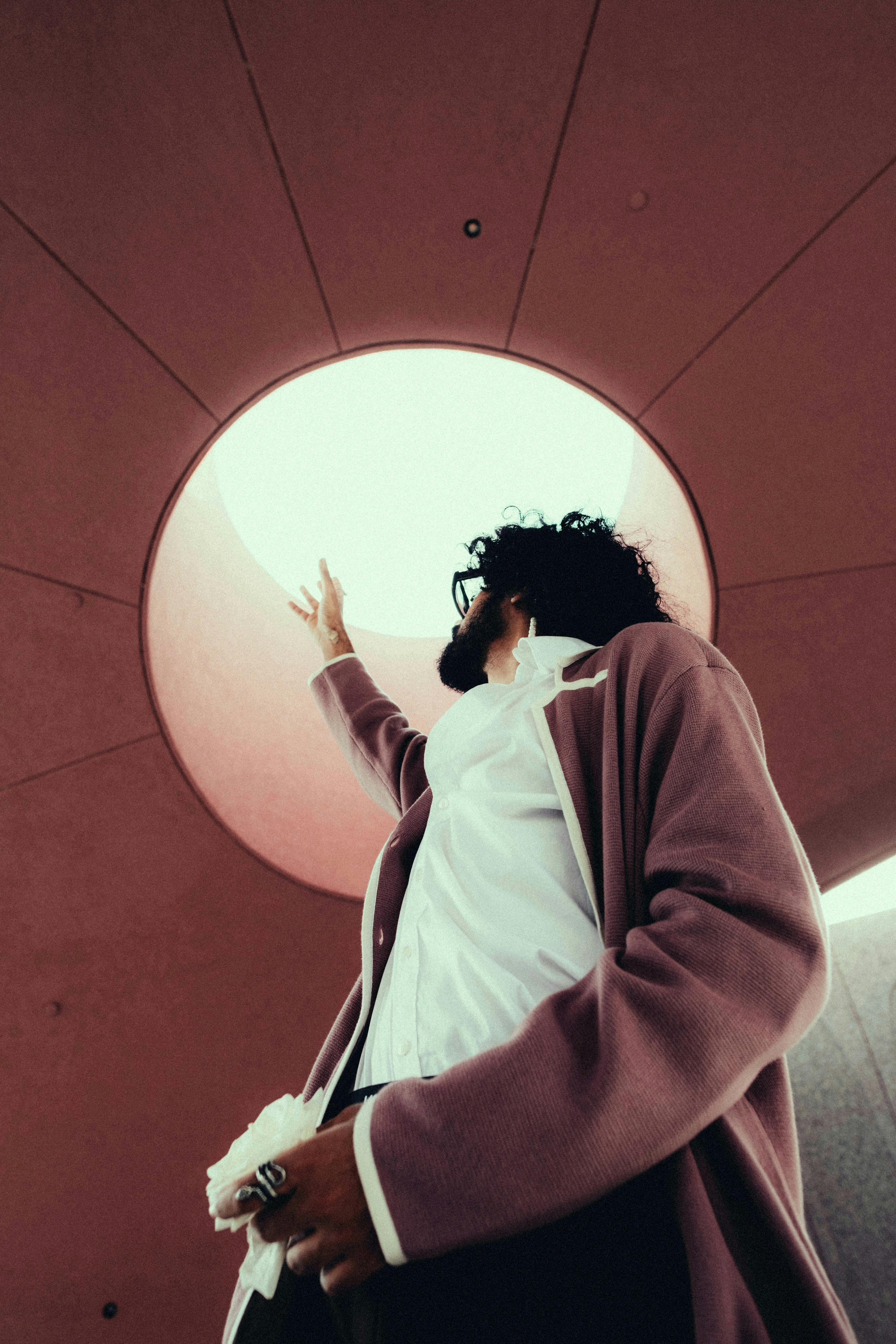 Broods Photos, Download The BEST Free Broods Stock Photos & HD Images