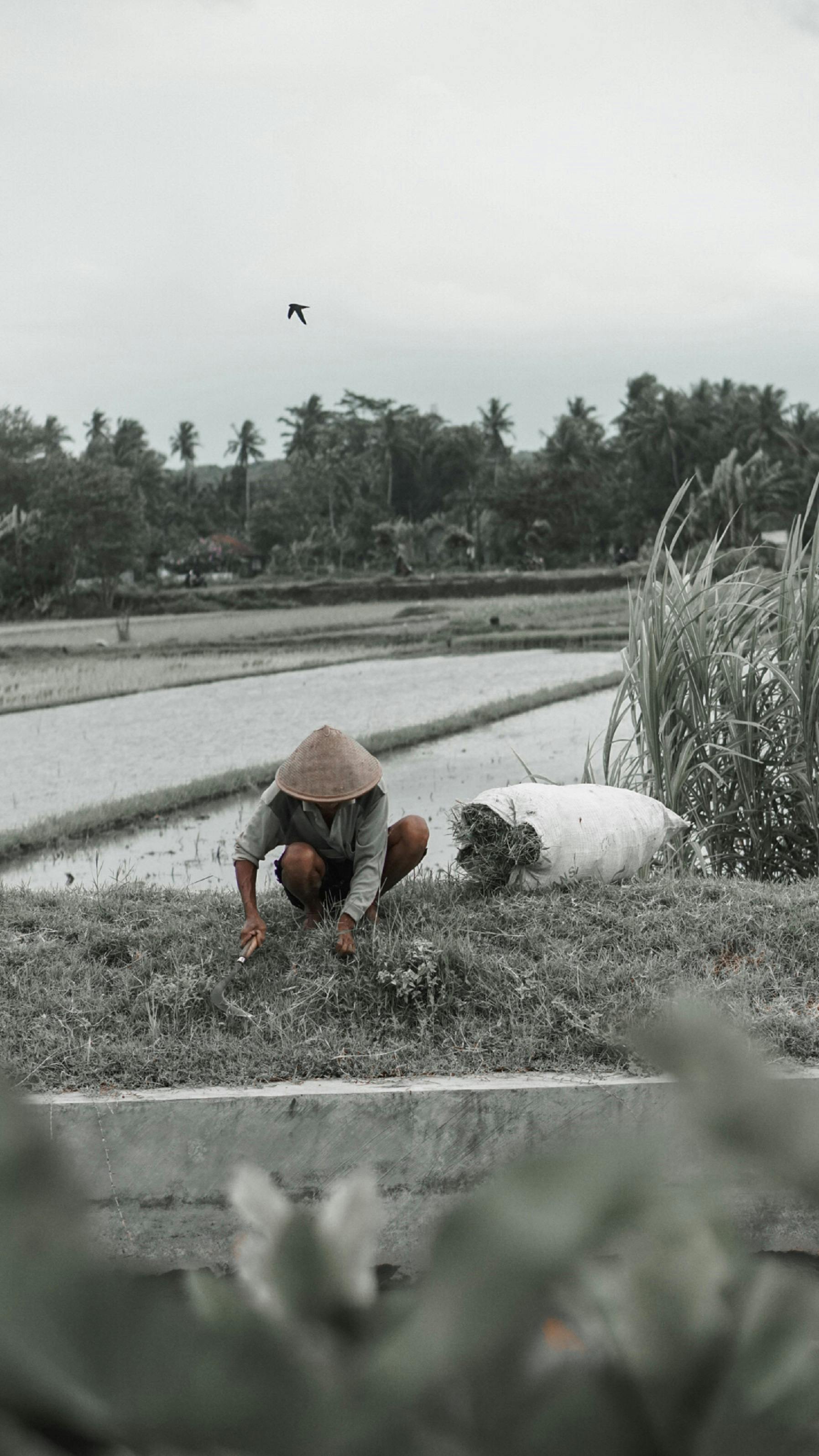 Mep Works Photos, Download The BEST Free Mep Works Stock Photos & HD Images