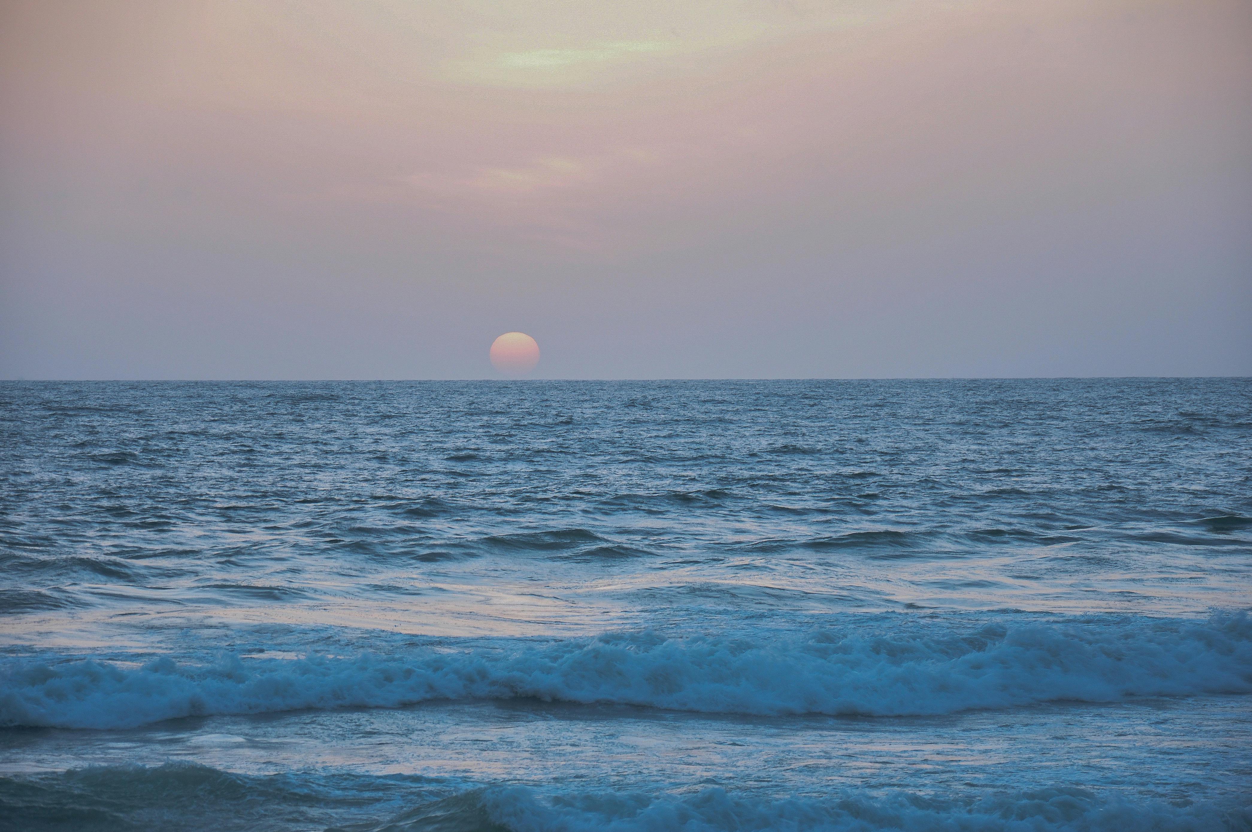 Blender Wave Photos, Download The BEST Free Blender Wave Stock Photos ...