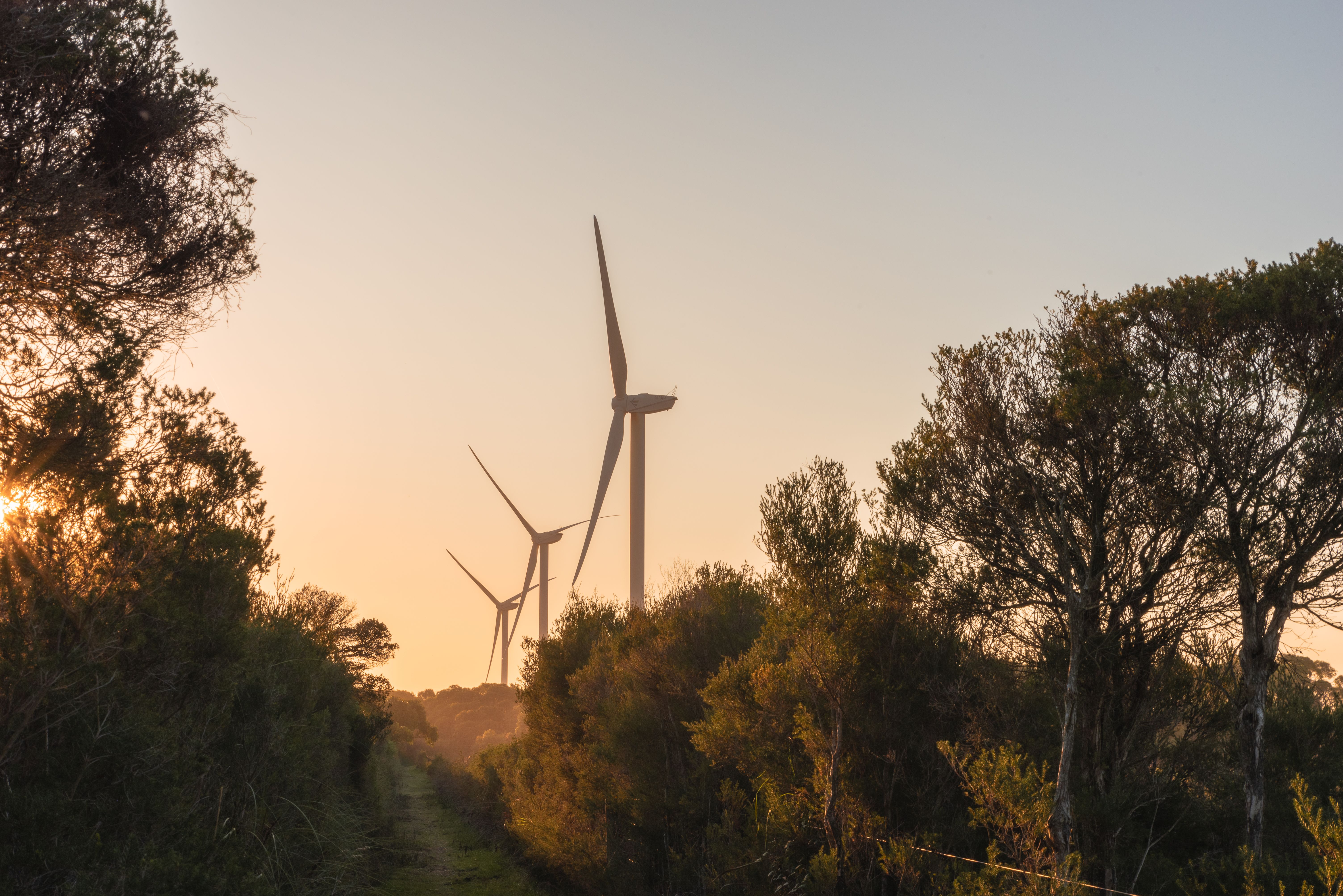 Australia Electricity Power Pics Photos, Download The BEST Free ...