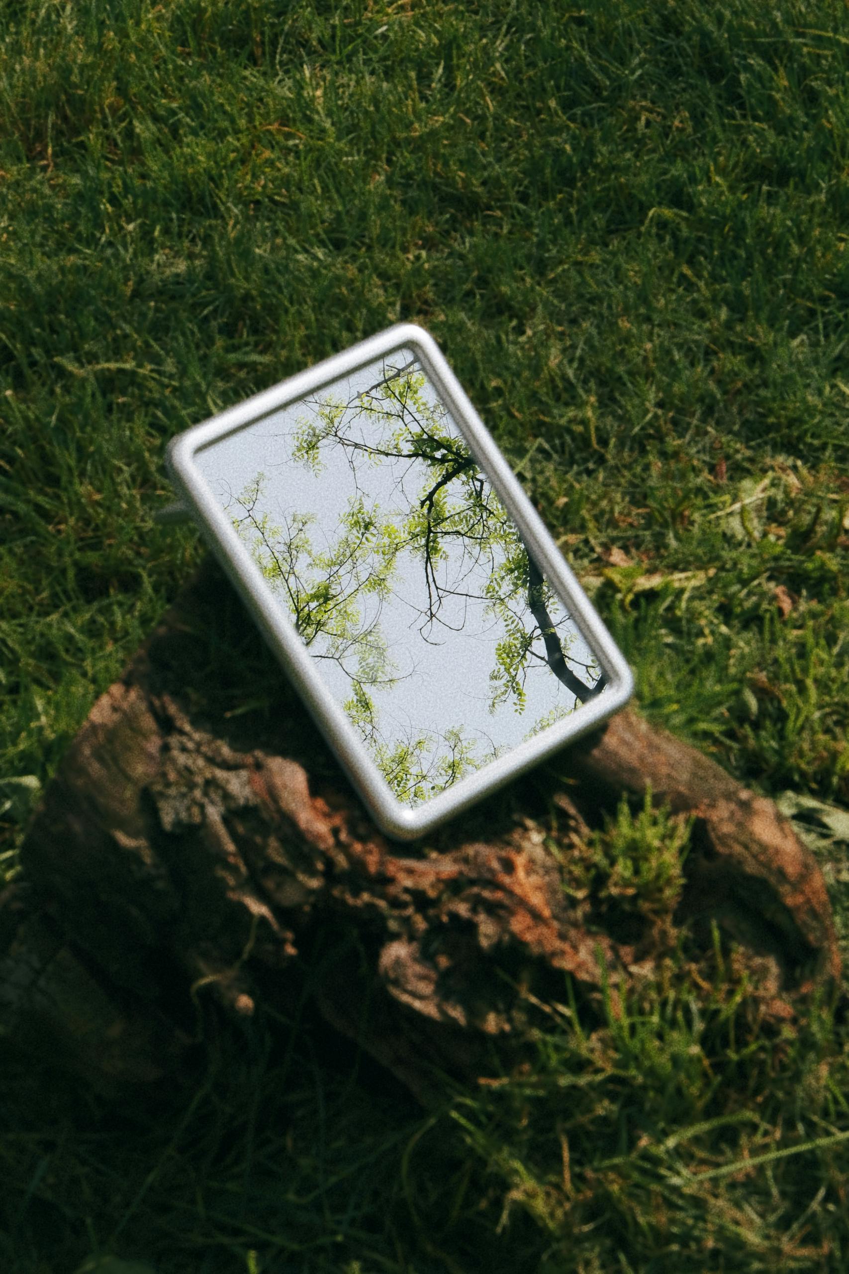 Reflection of Green Trees in Mirror on Grass · Free Stock Photo