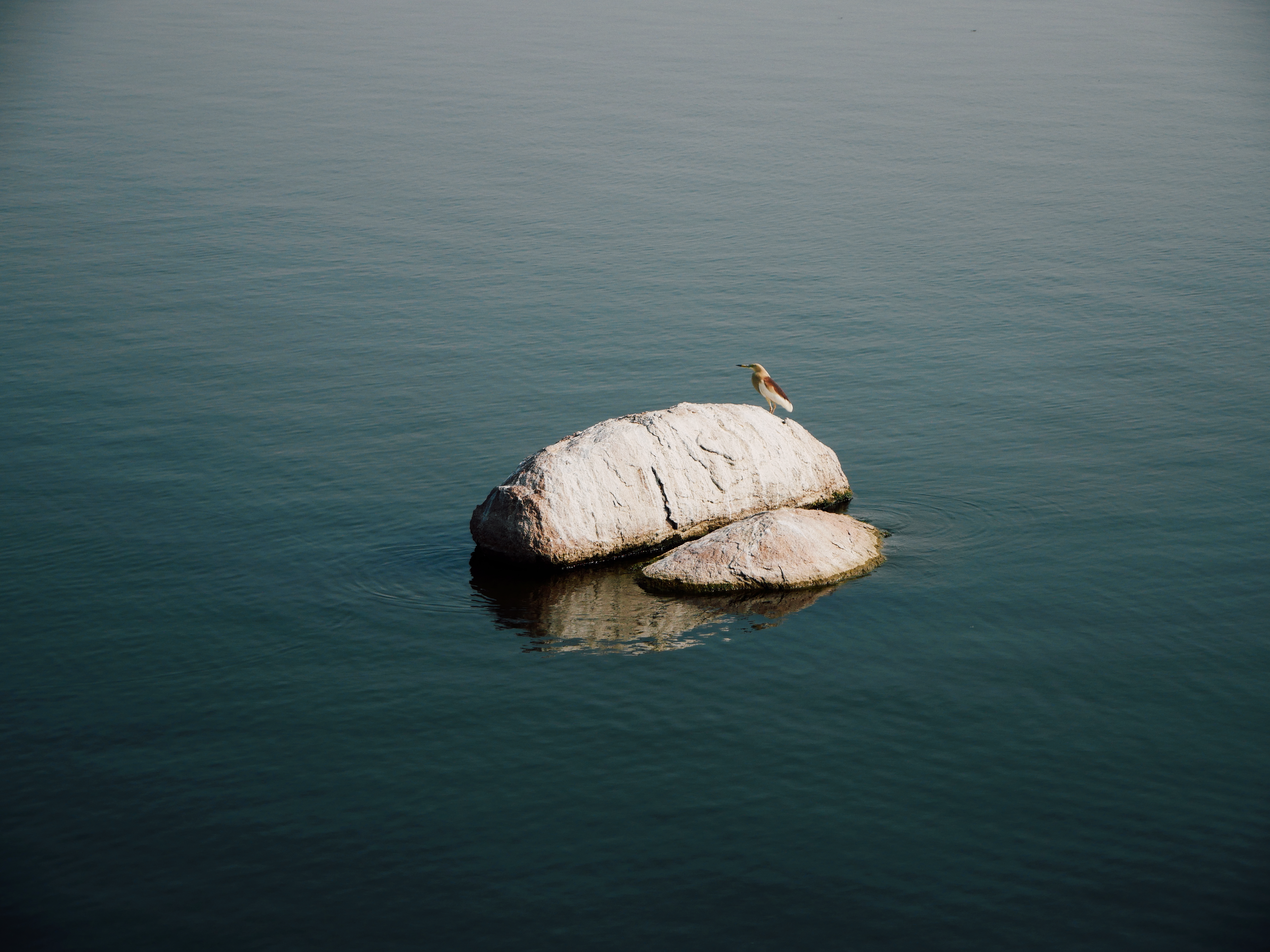 Simple Landscapes Photos, Download The BEST Free Simple Landscapes ...