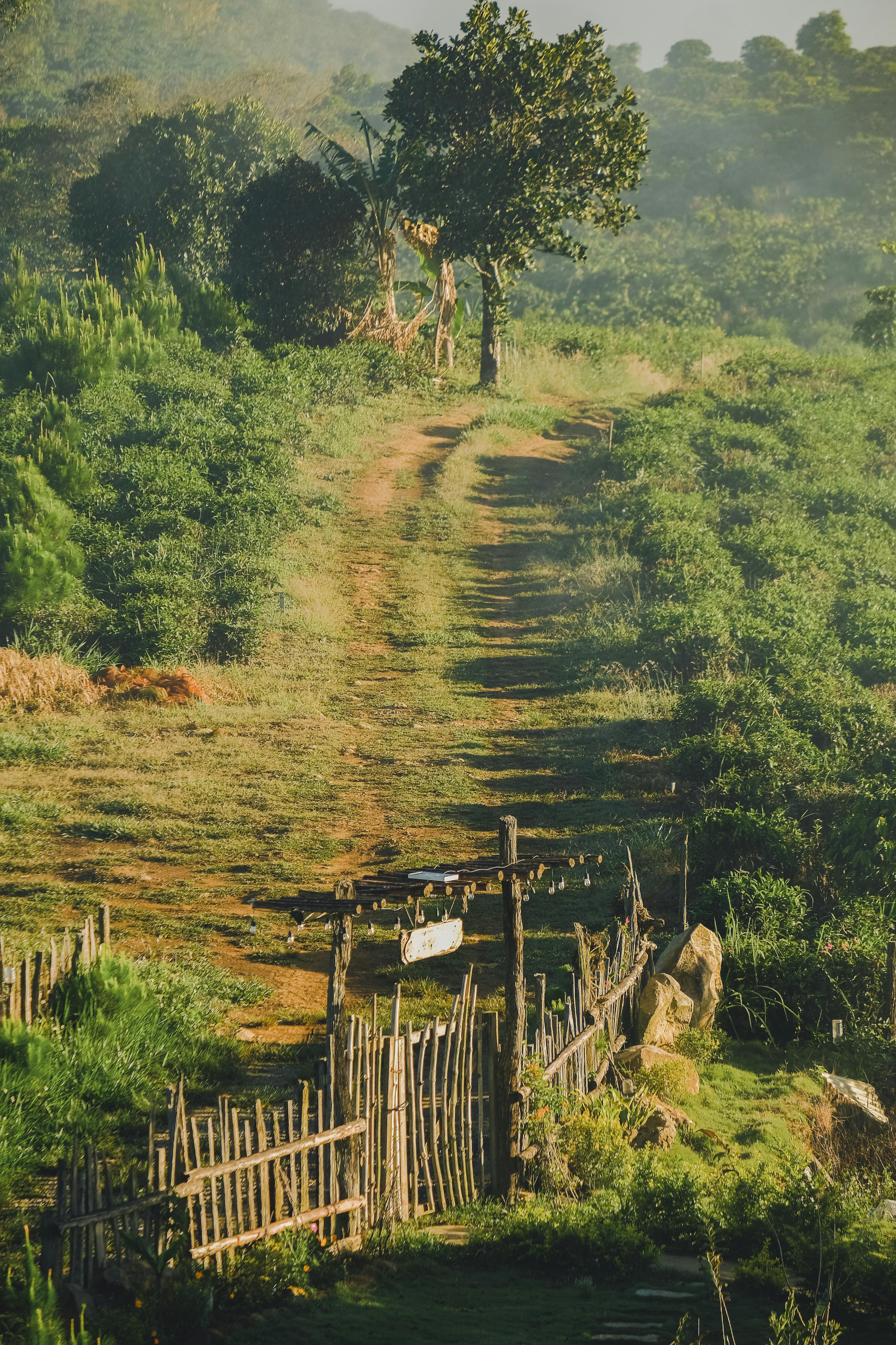 Fence in Countryside · Free Stock Photo