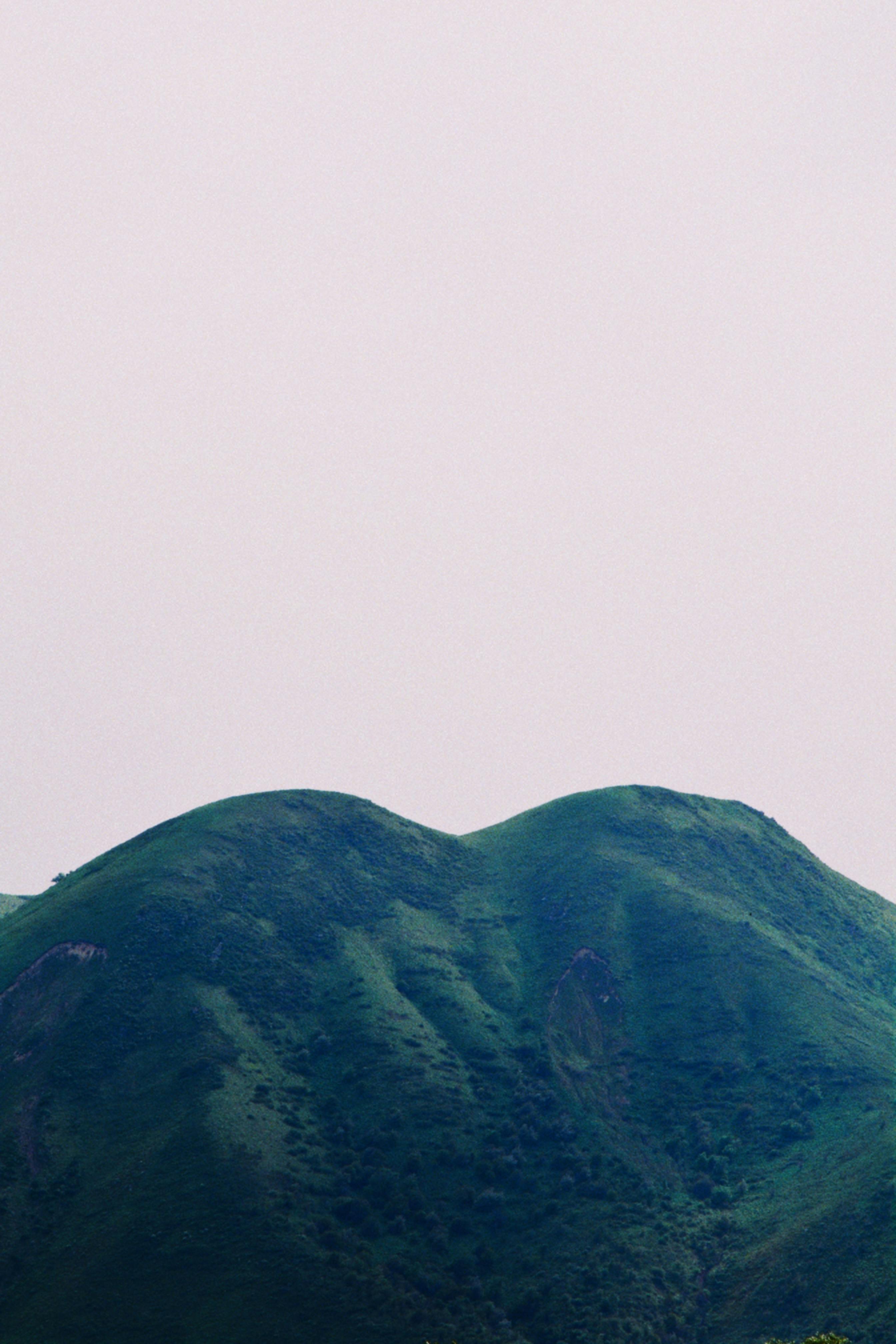 Nature Green Landscape Photos, Download The BEST Free Nature Green ...