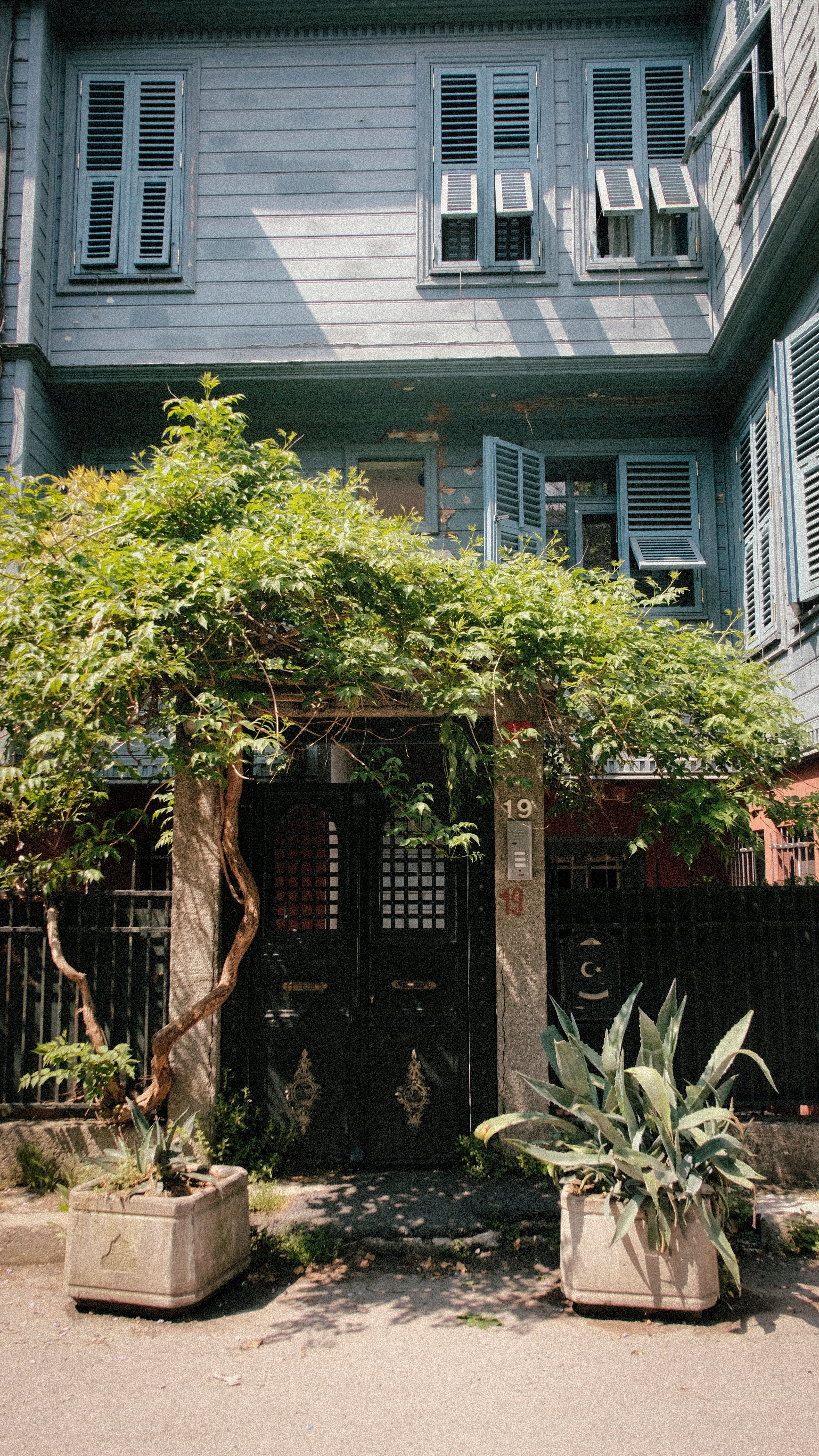 Plants Decorating the Gate in front of a Residential Building in City ...