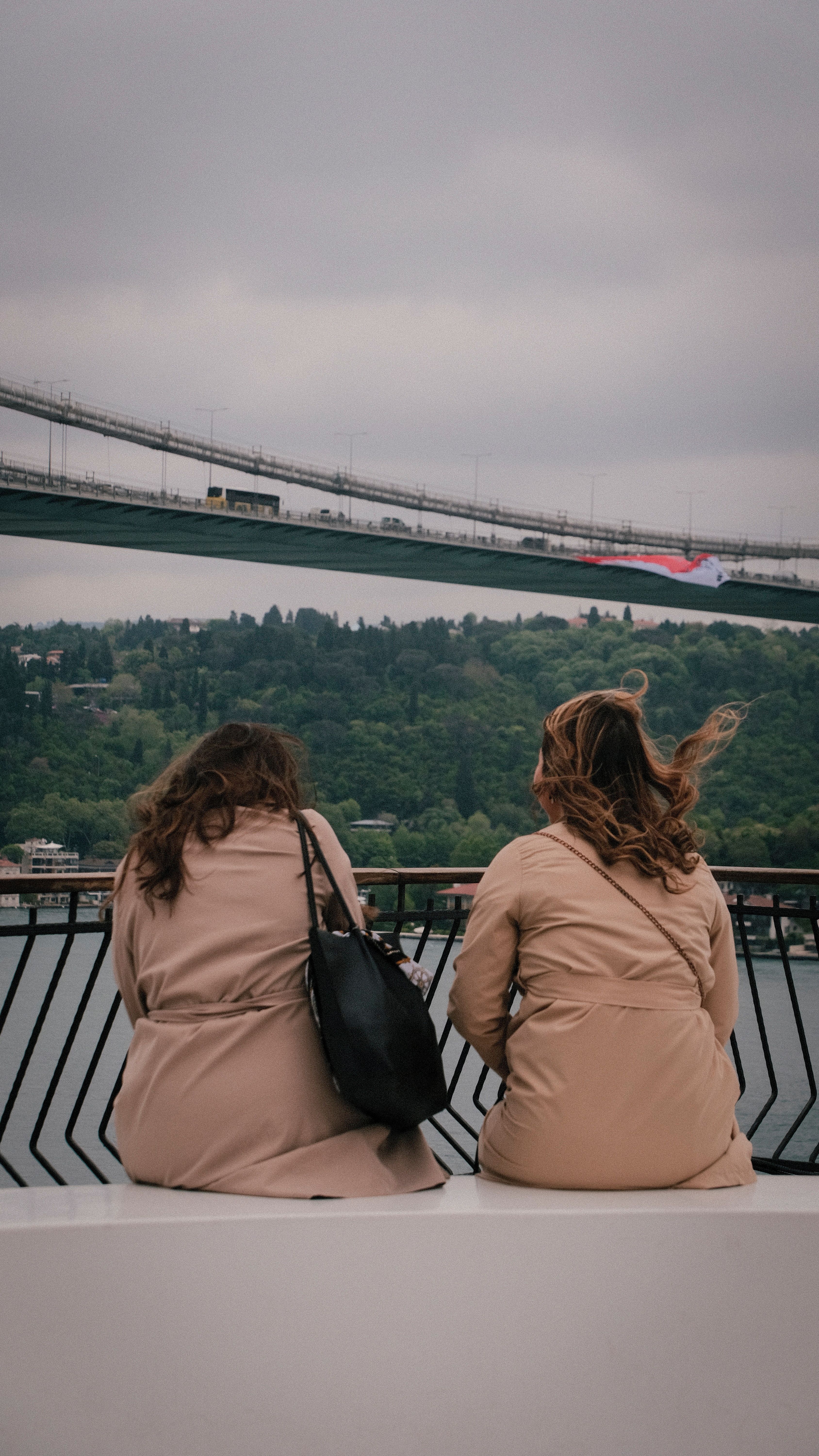Back View of Women Sitting by the Water with the View of a Suspension ...