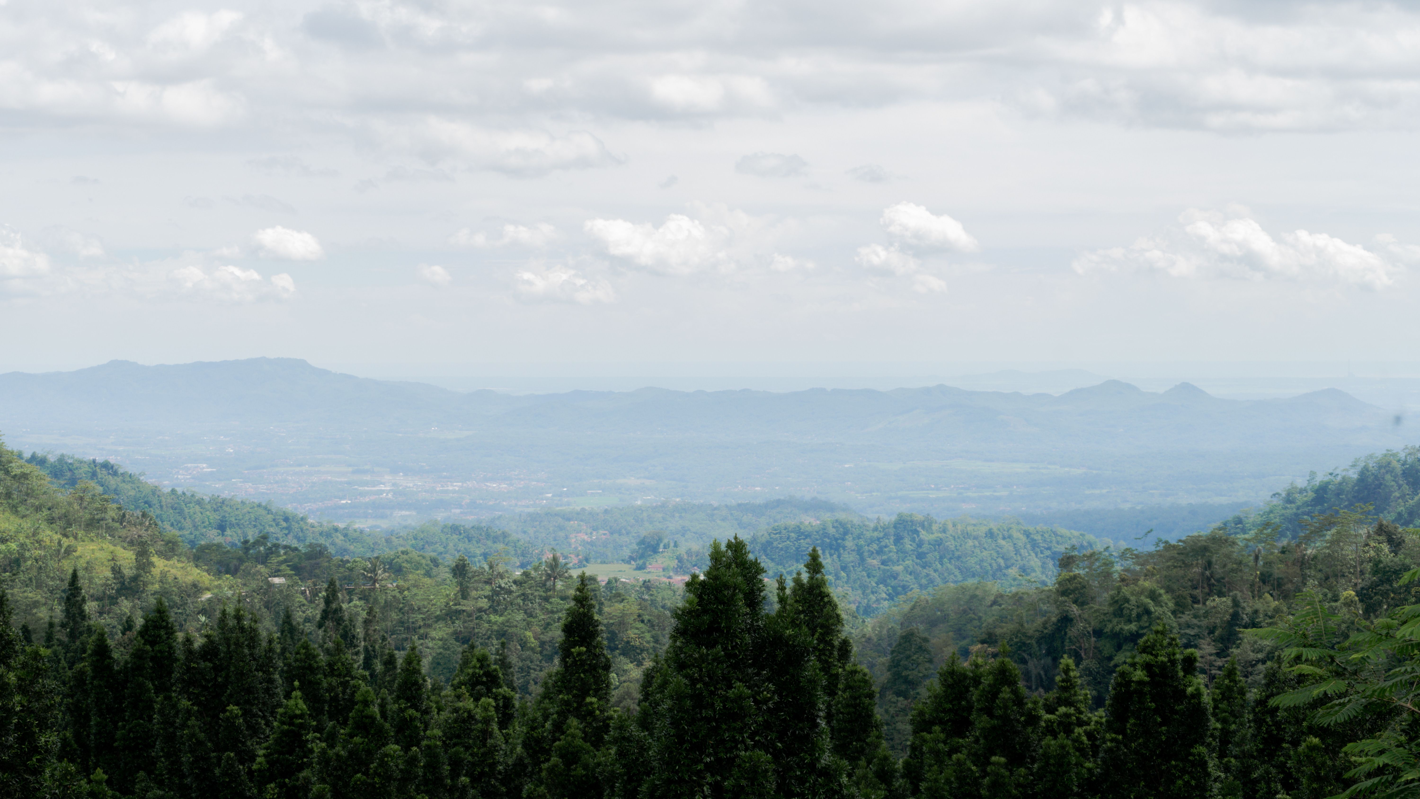 Panoramic View of the Forest in a Valley · Free Stock Photo