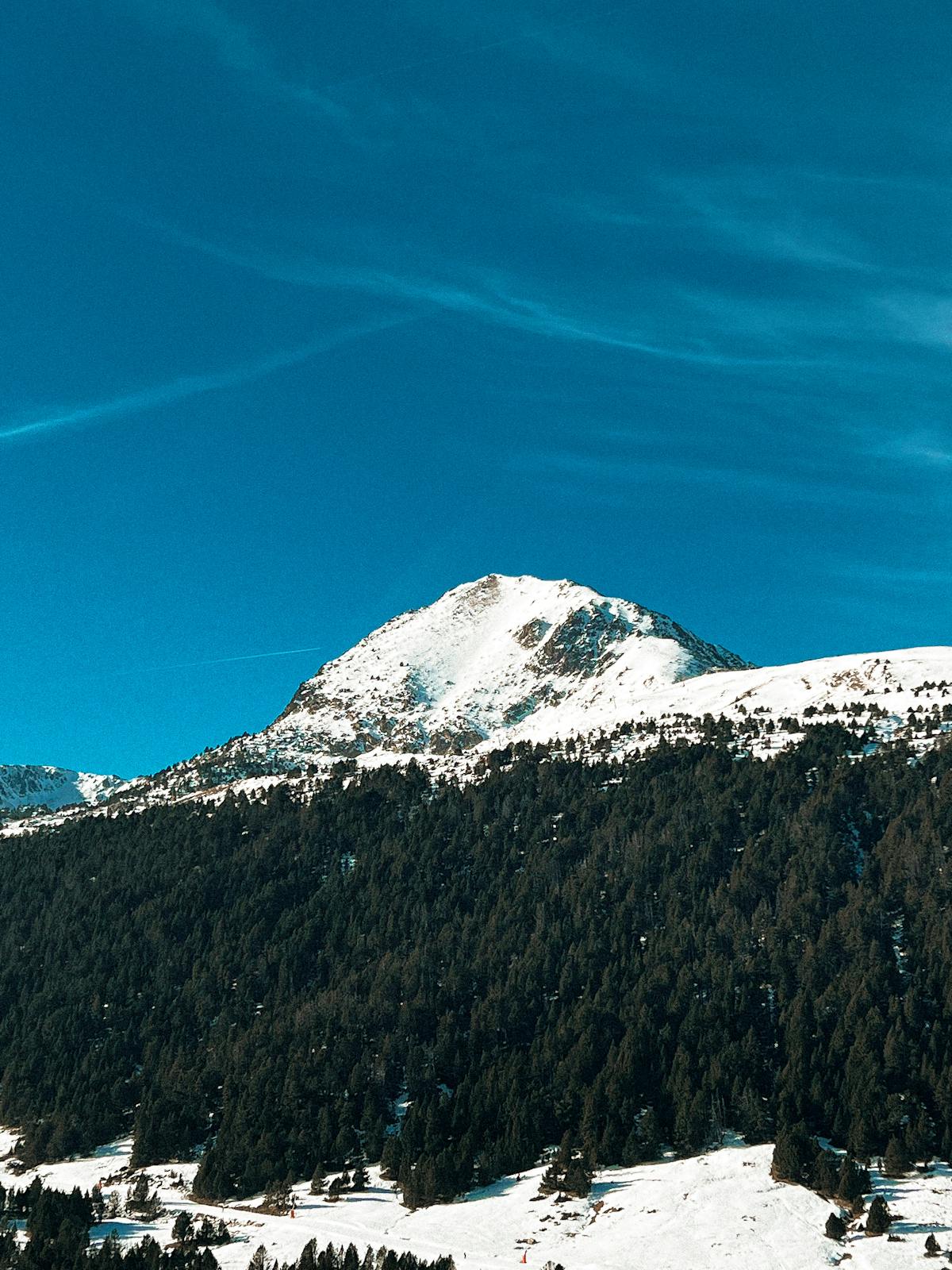 Forest Cold Photos, Download The BEST Free Forest Cold Stock Photos ...