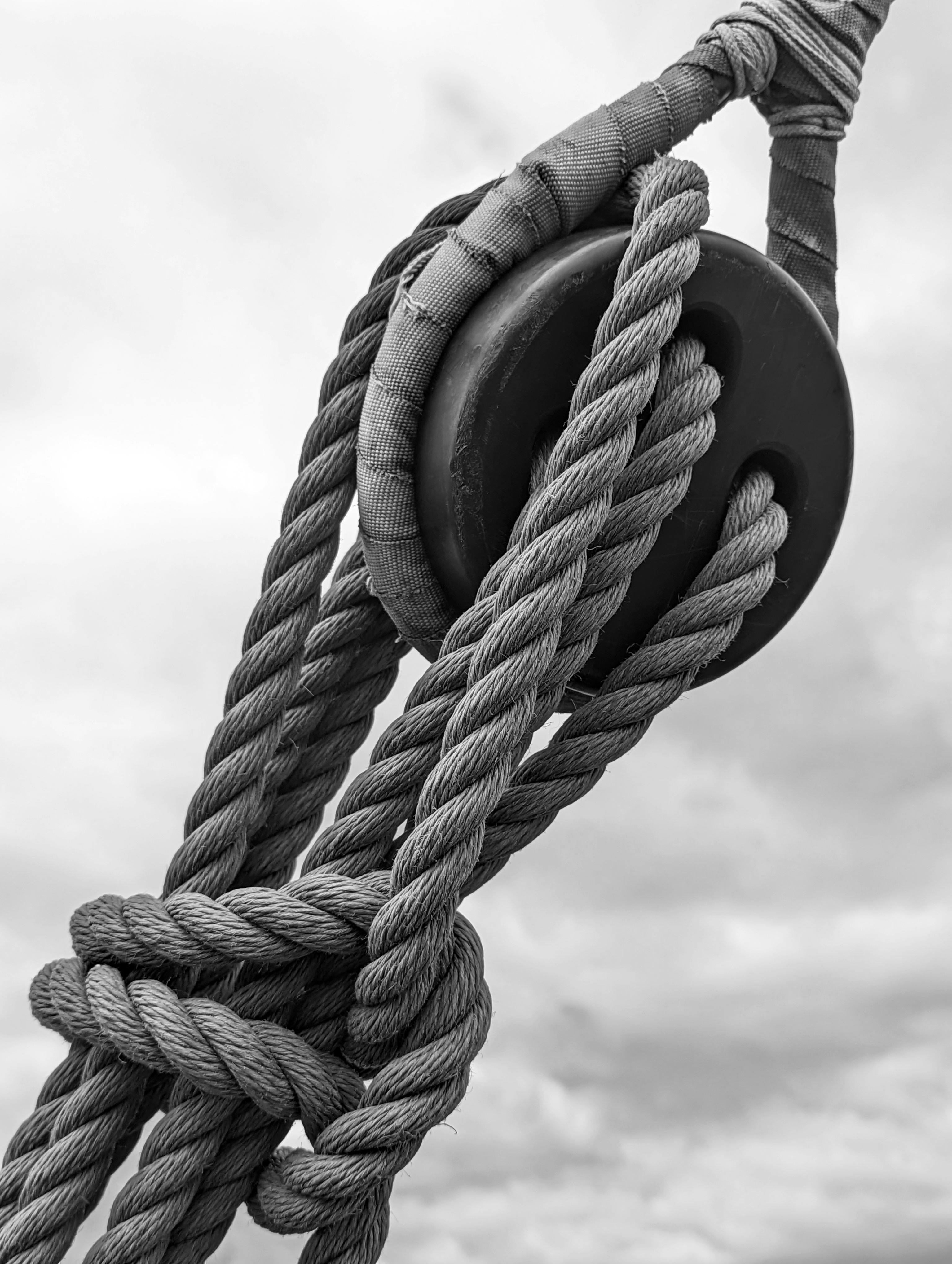 Oces Photos, Download The BEST Free Oces Stock Photos & HD Images