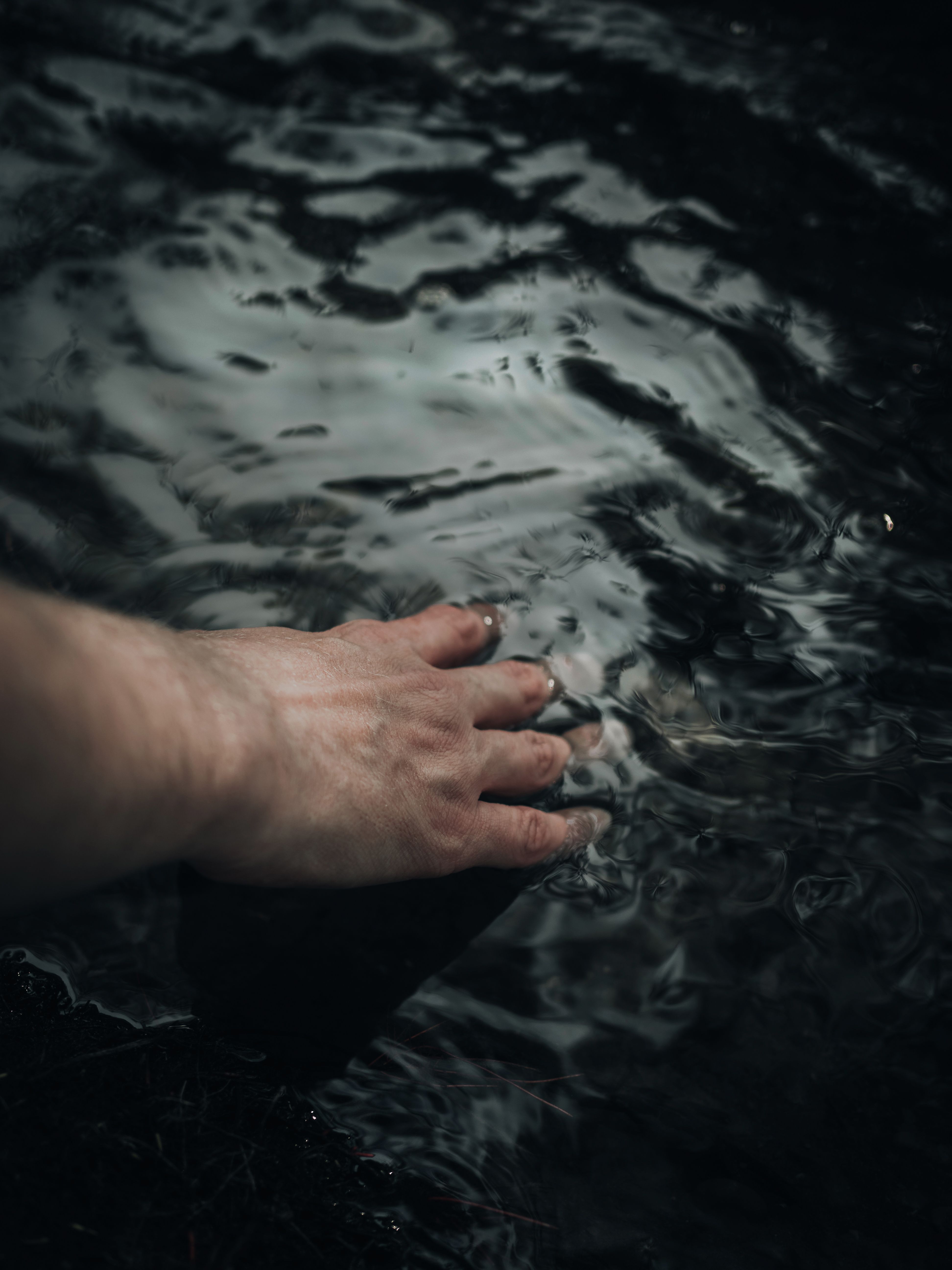 Person Holding Water in Cupped Hands · Free Stock Photo
