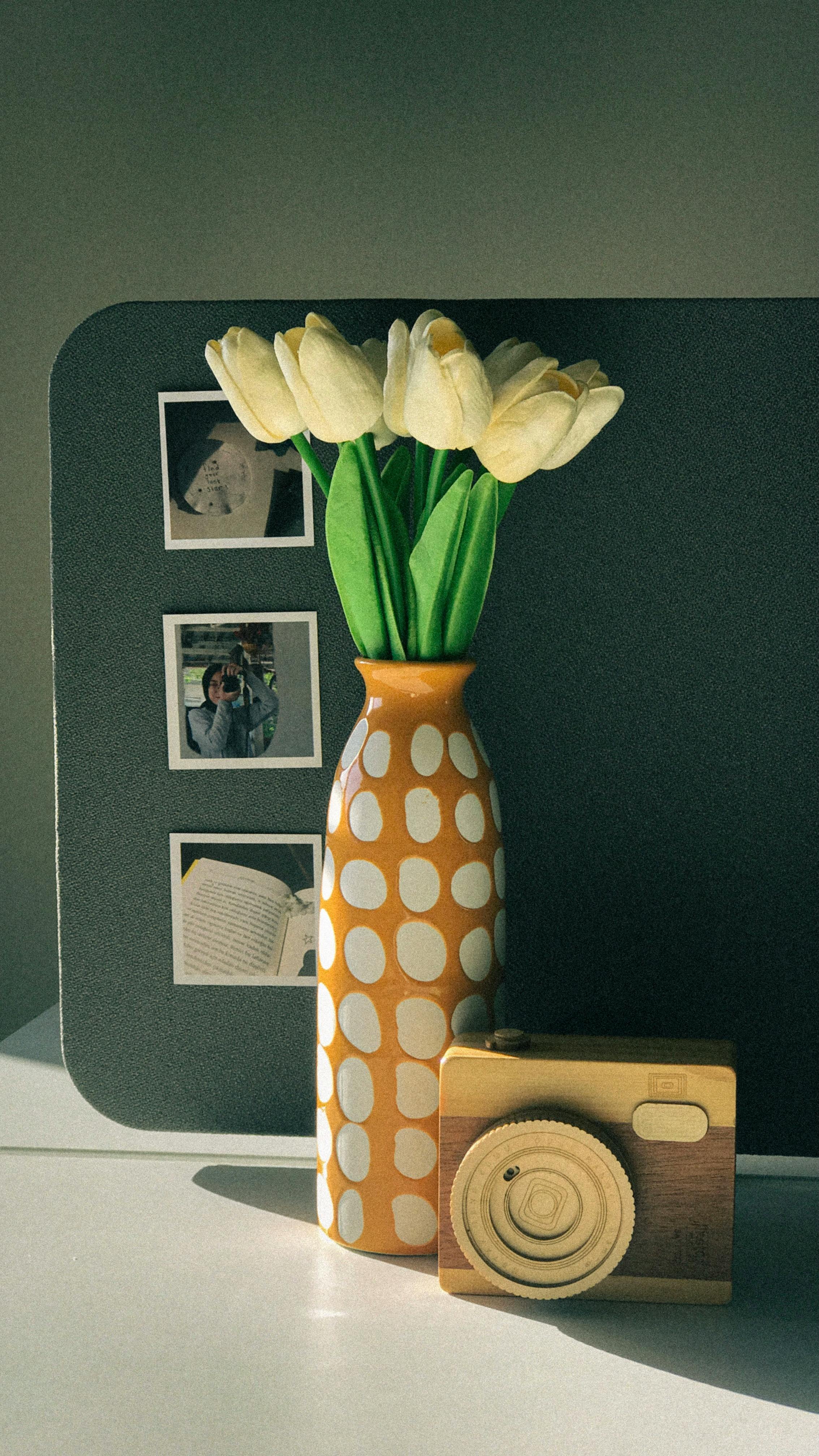 Curriculum Design Photos, Download The BEST Free Curriculum Design ...