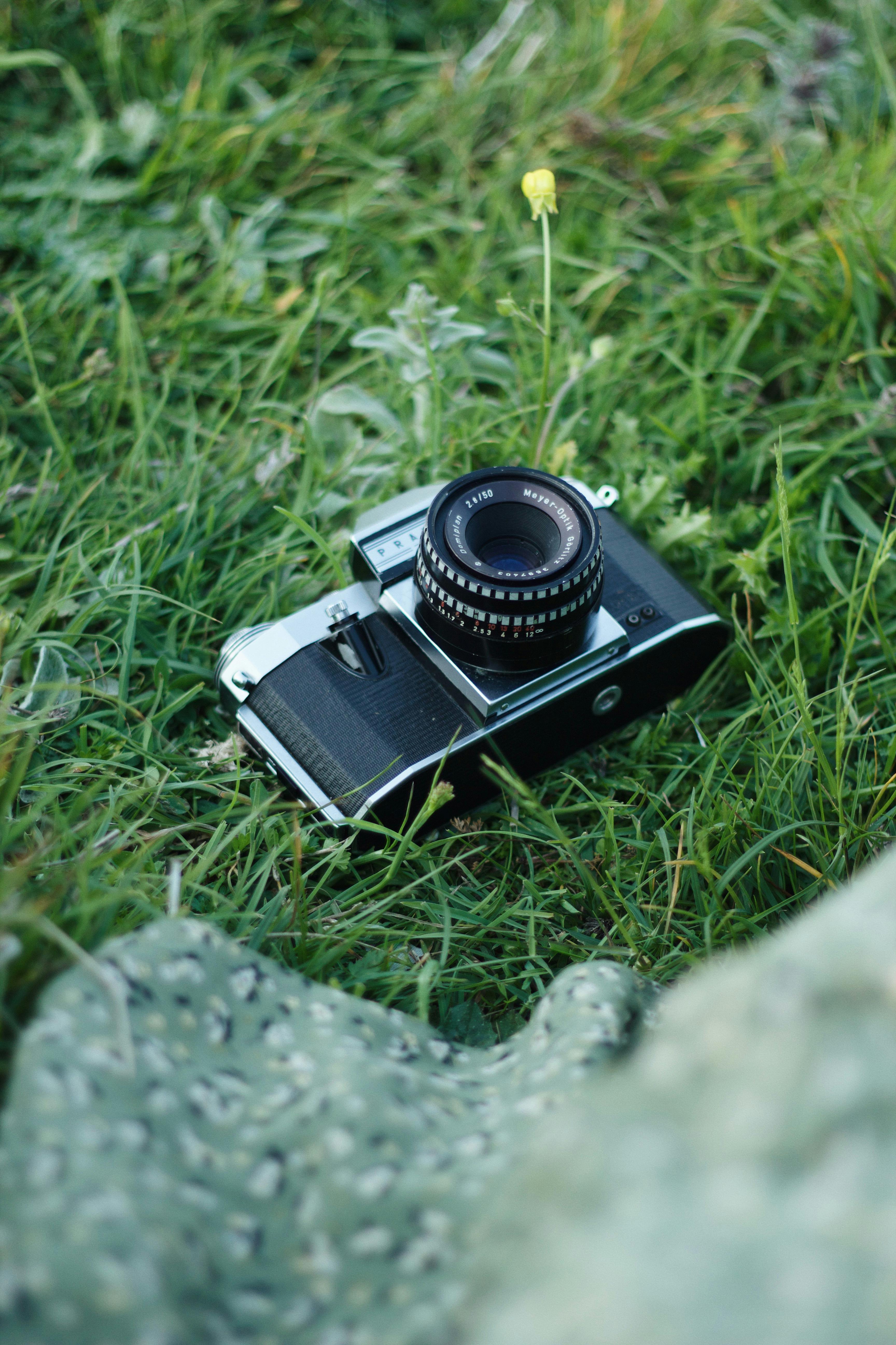 Camera Lying in the Grass · Free Stock Photo
