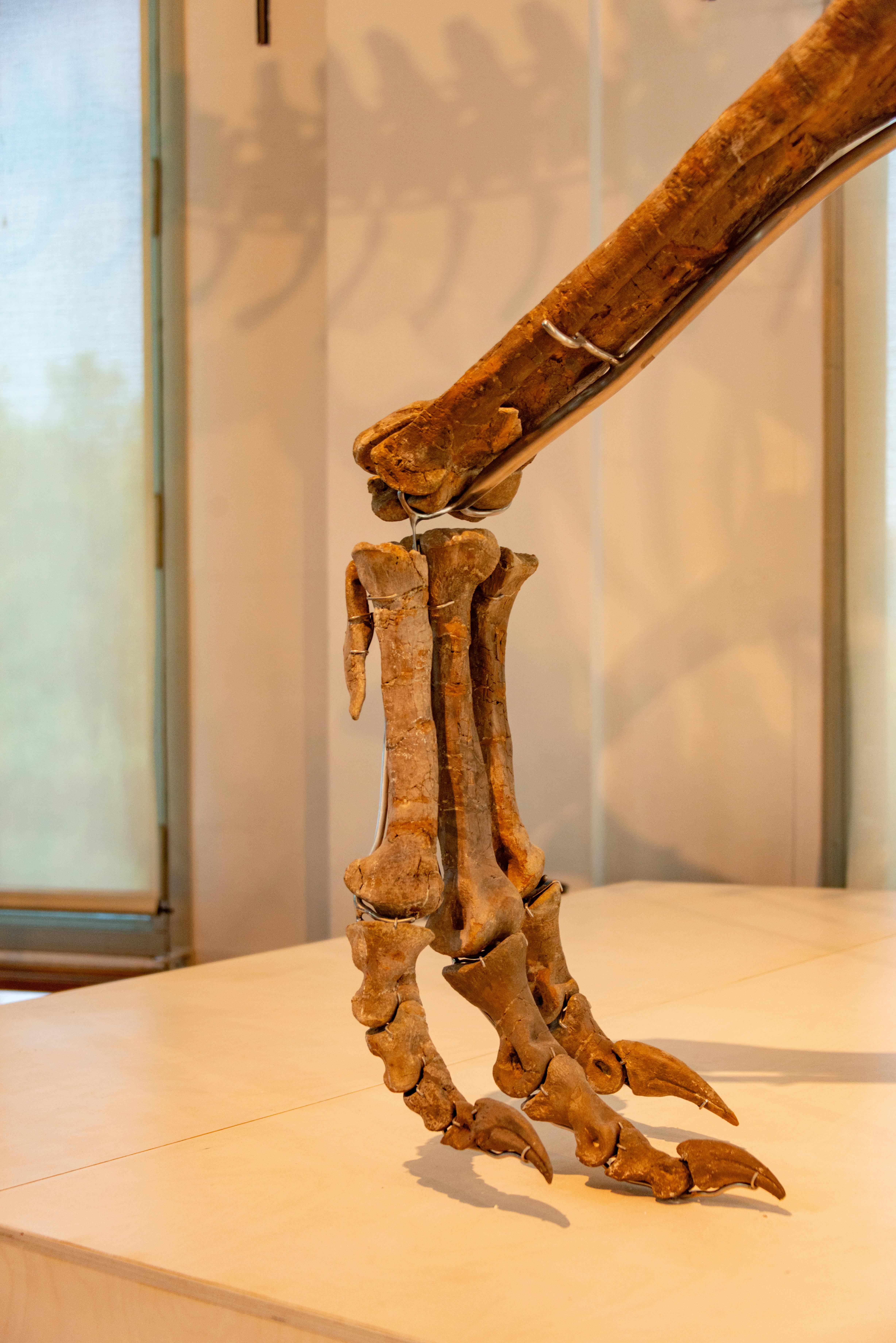 Katun Pic Photos, Download The BEST Free Katun Pic Stock Photos & HD Images