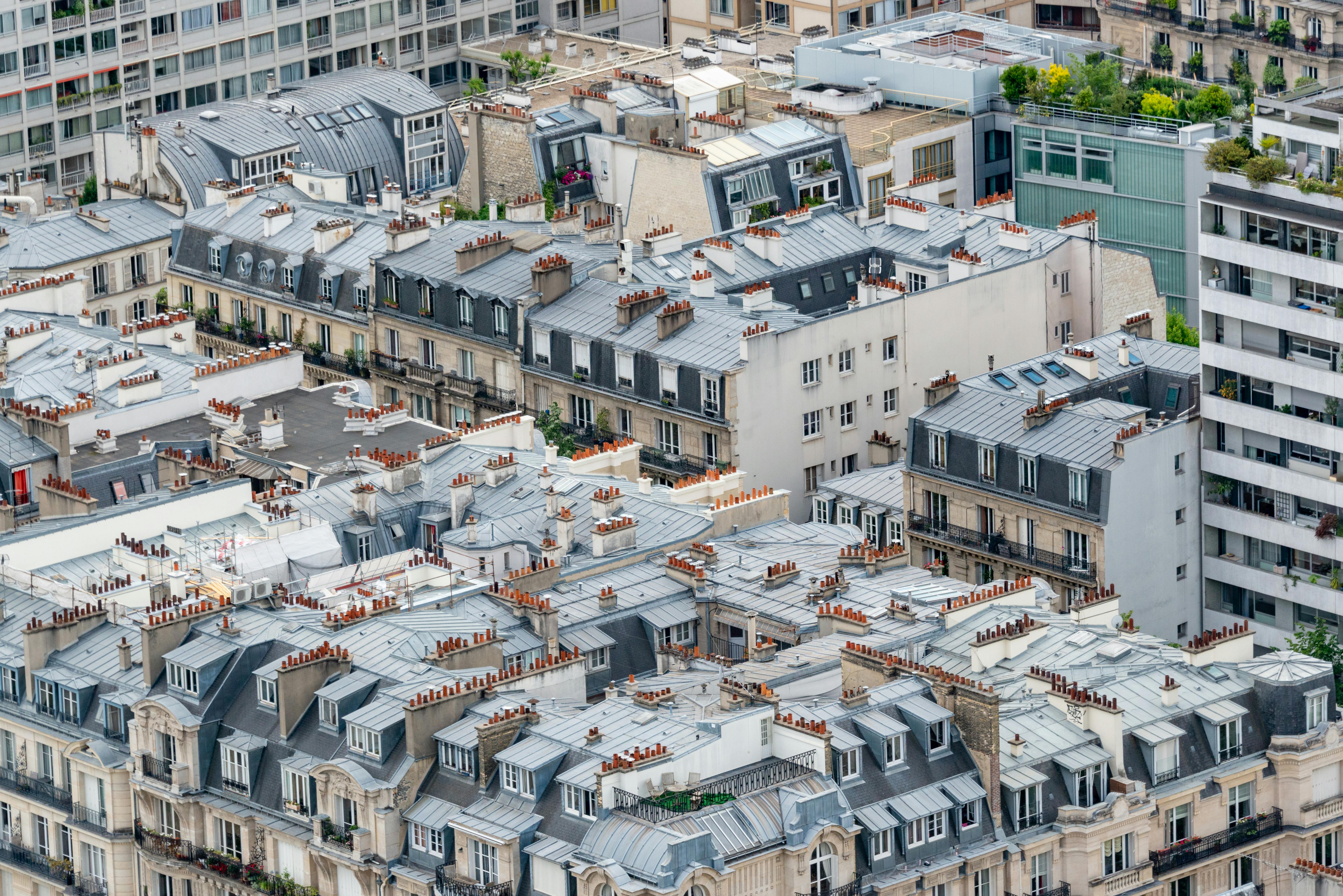 Brids Eye View of Paris Rooftops · Free Stock Photo