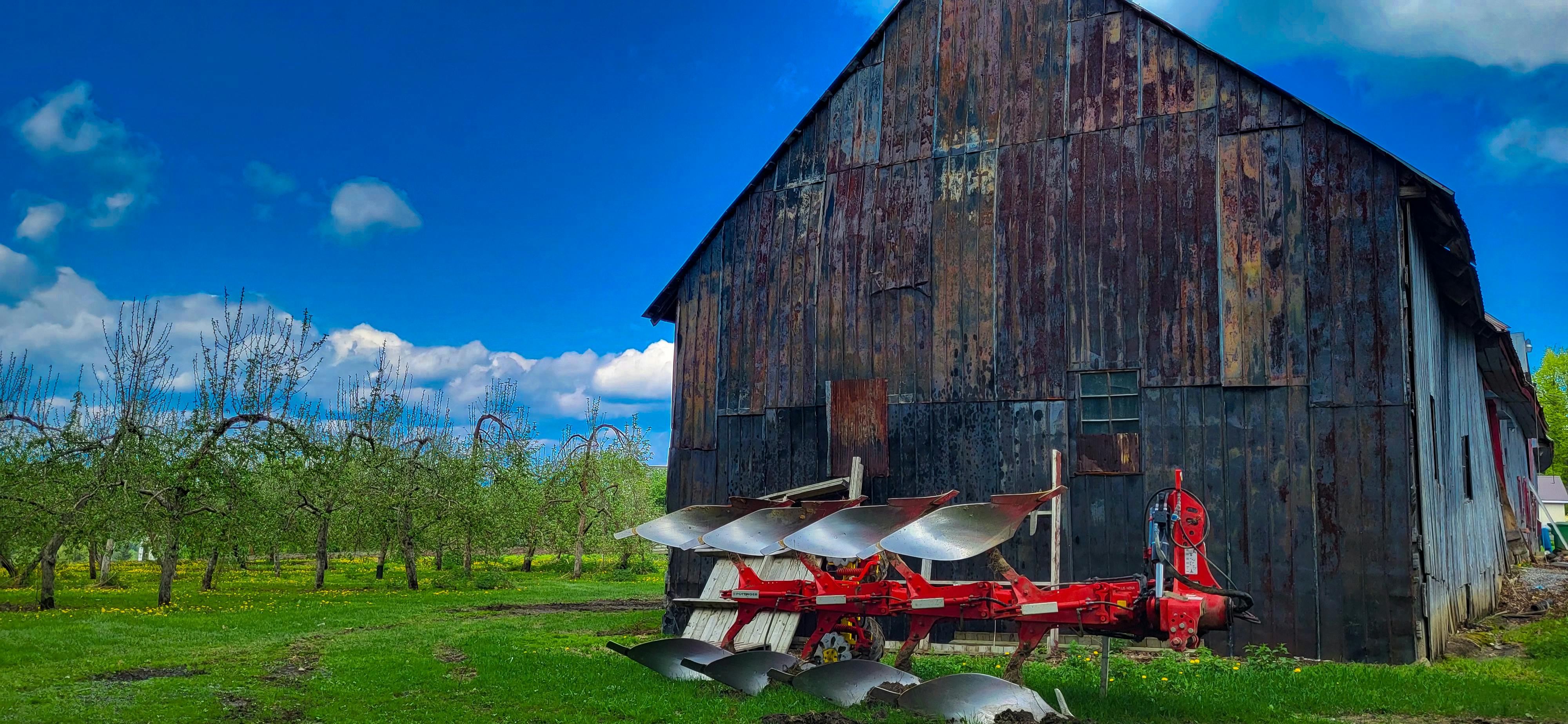 Sim Sam - การถ่ายภาพ