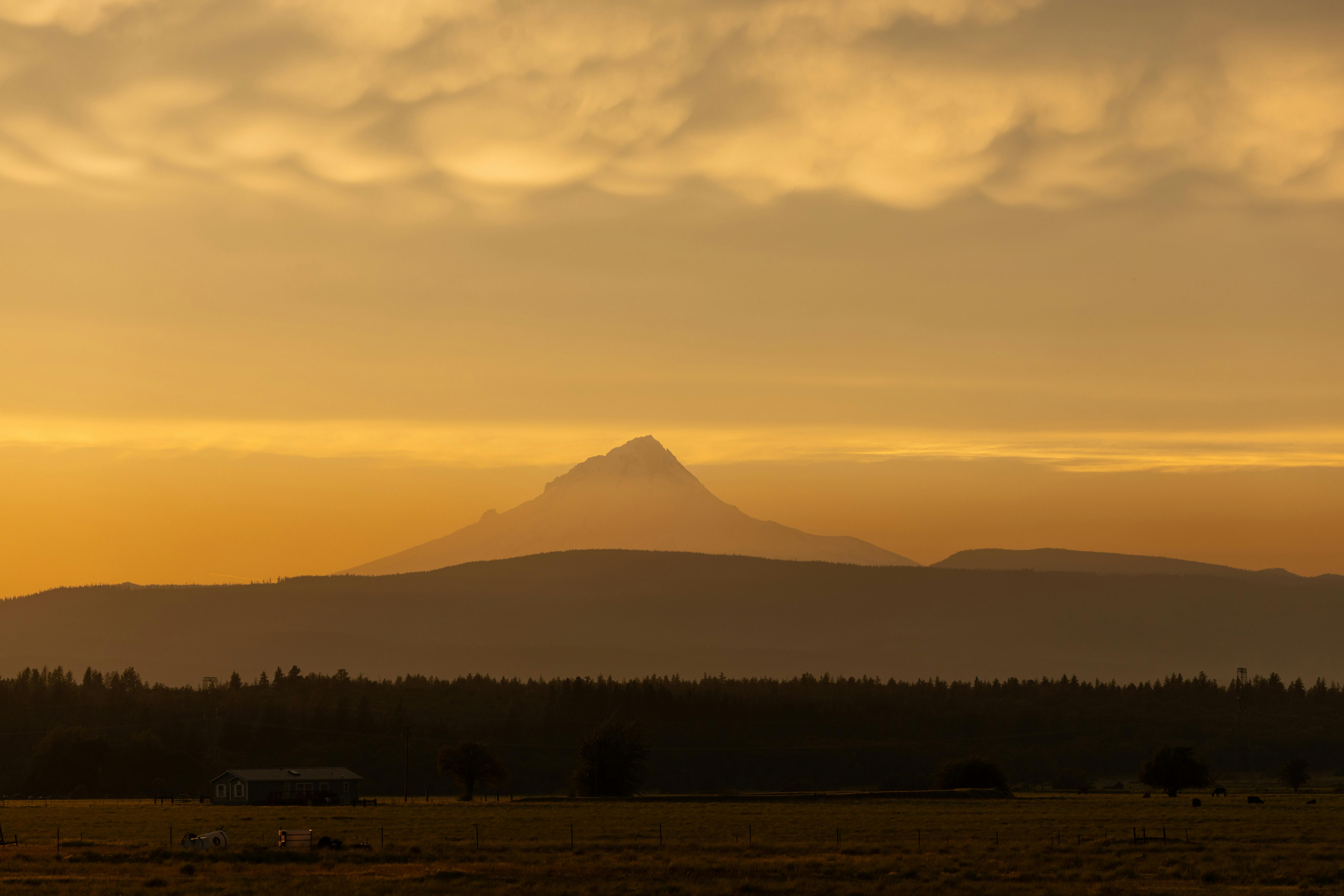 Planerare Farm Gun Photos, Download The BEST Free Planerare Farm Gun ...