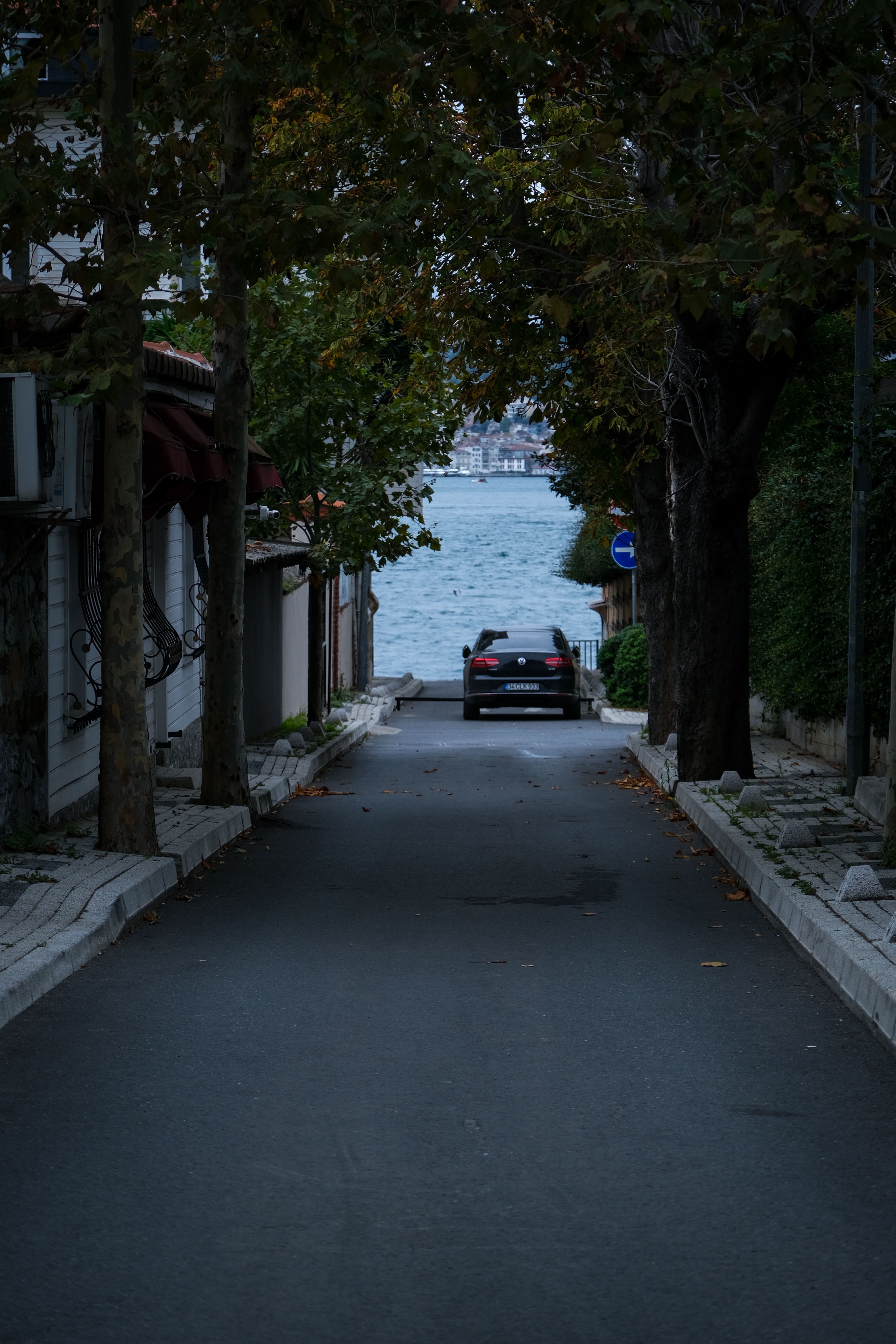 Trees around Street in Town · Free Stock Photo