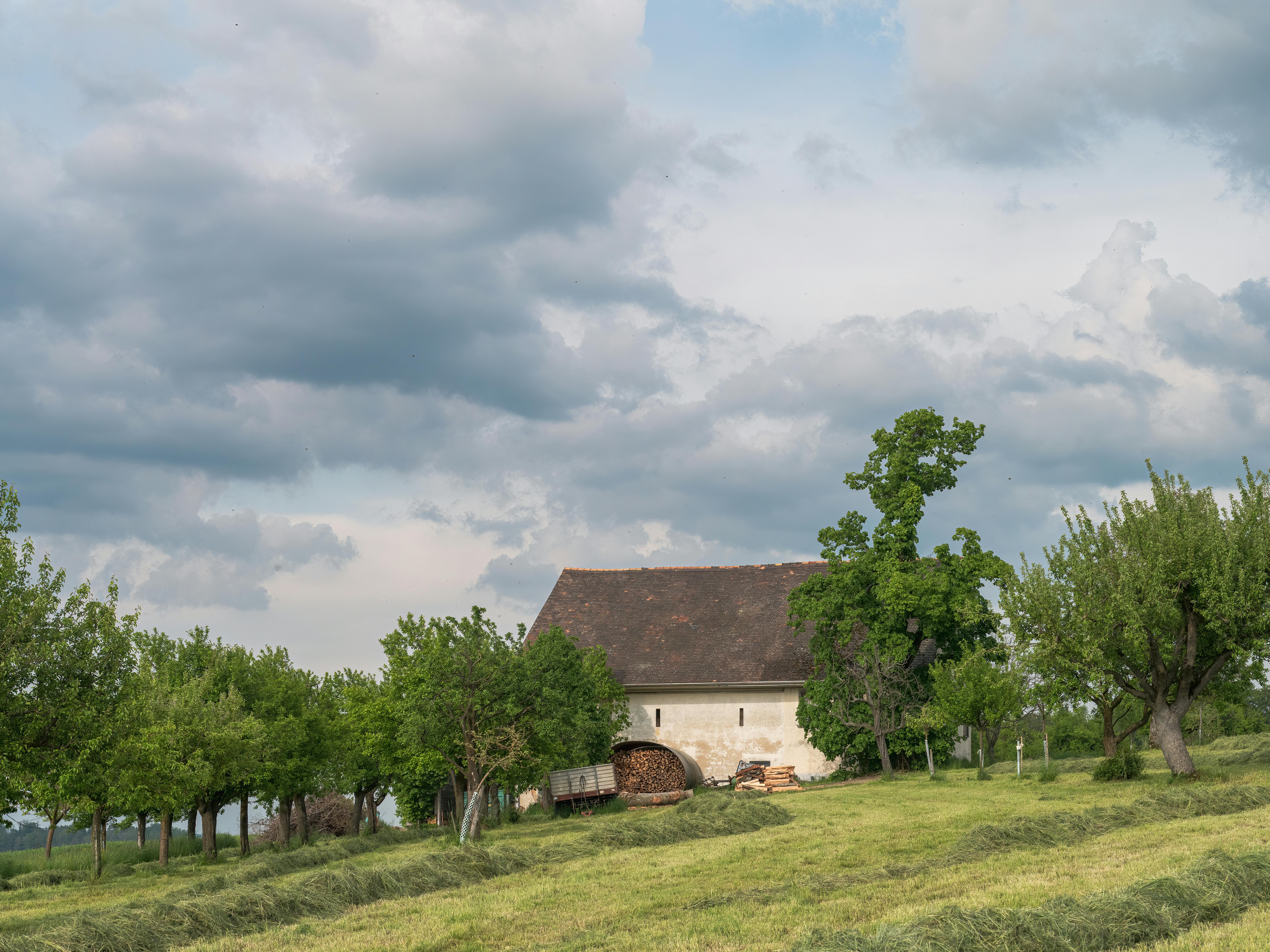 House At Green Field · Free Stock Photo