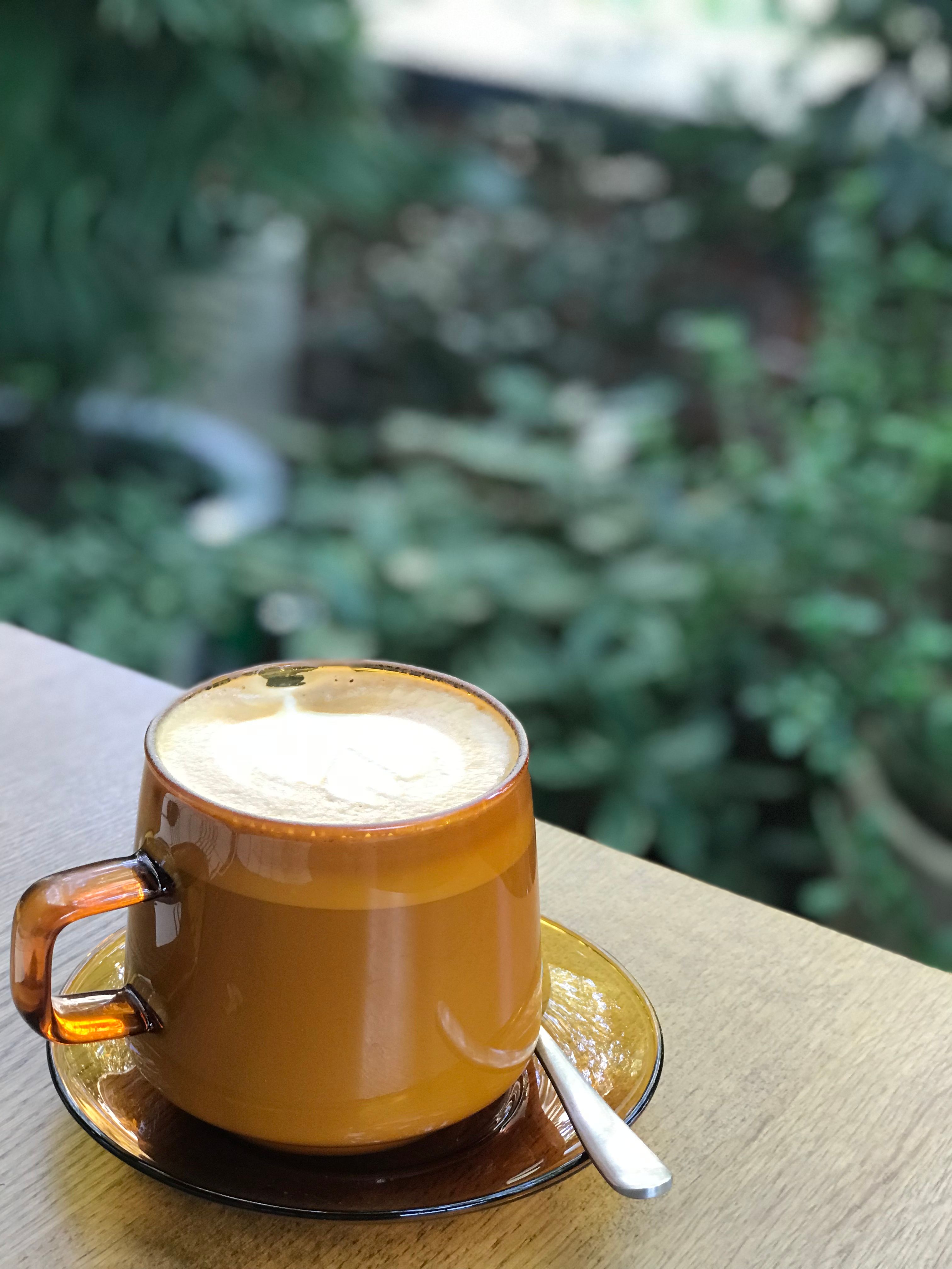 Hot Milk Tea Photos, Download The BEST Free Hot Milk Tea Stock Photos ...