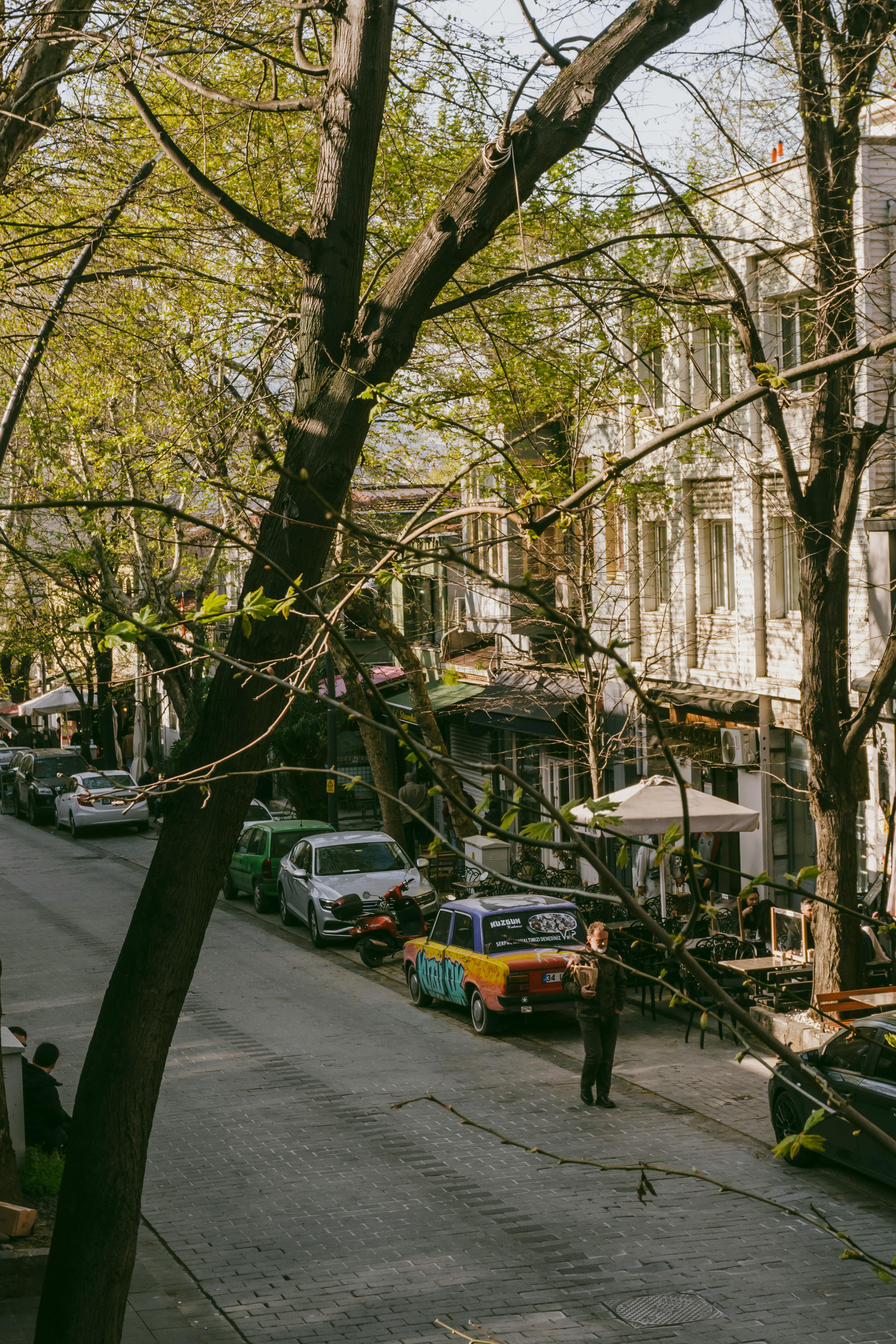 Calm Street in Town · Free Stock Photo