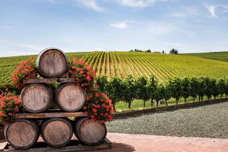 Wine Barrels Photos, Download The BEST Free Wine Barrels Stock Photos ...