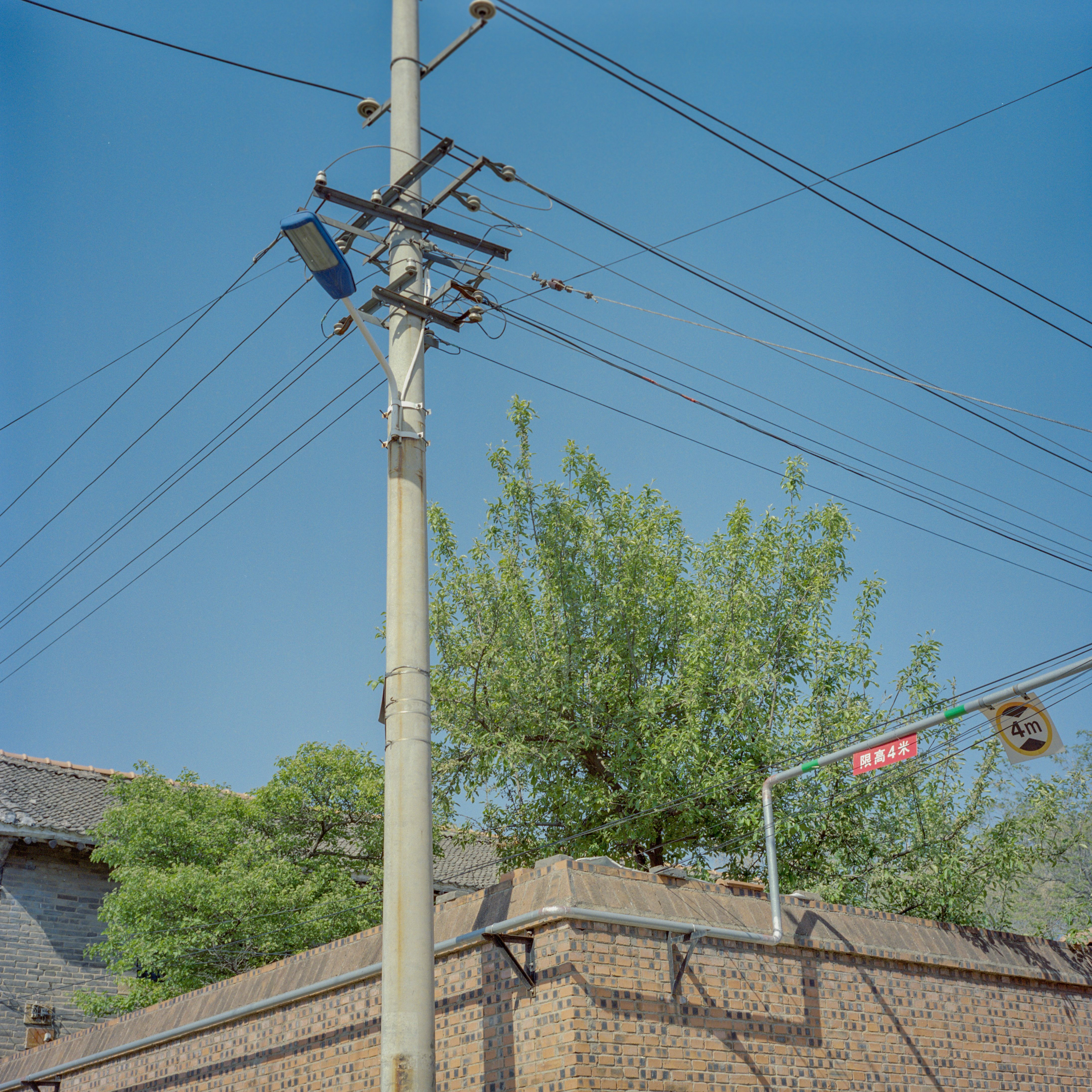 Electricity Pole near Trees · Free Stock Photo