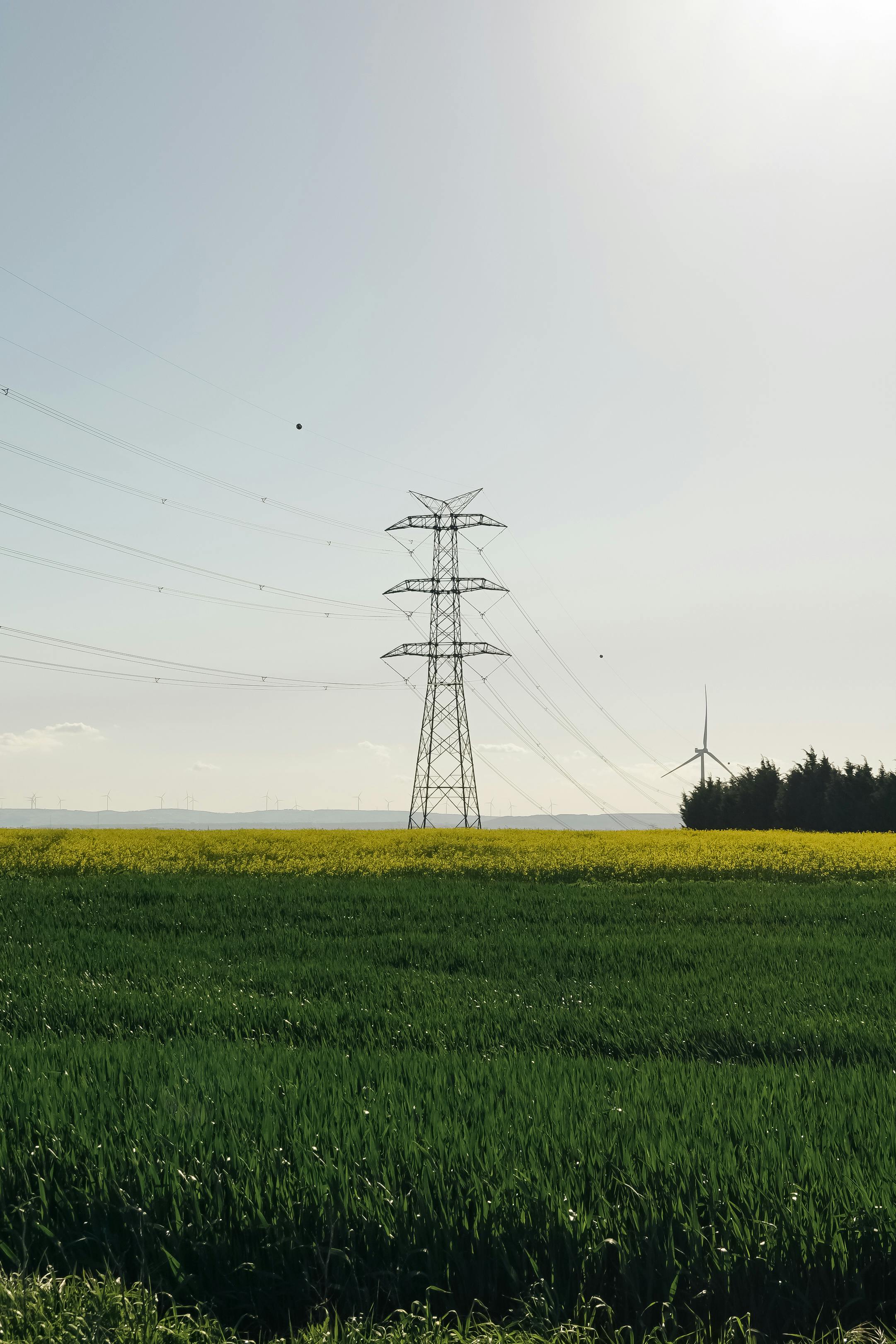 Transmission Tower on Rural Field · Free Stock Photo