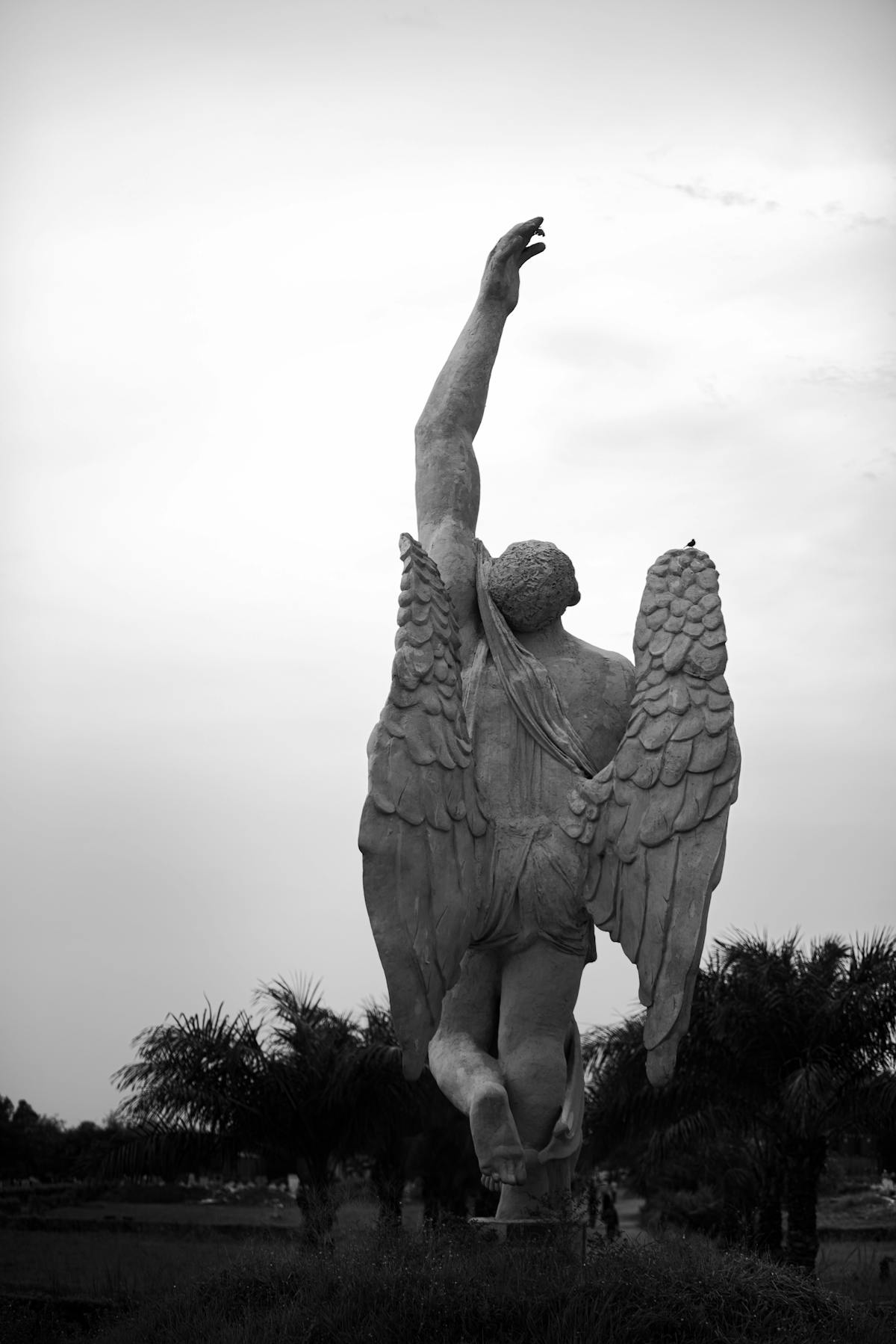 Angel Statue Back Photos, Download The BEST Free Angel Statue Back ...