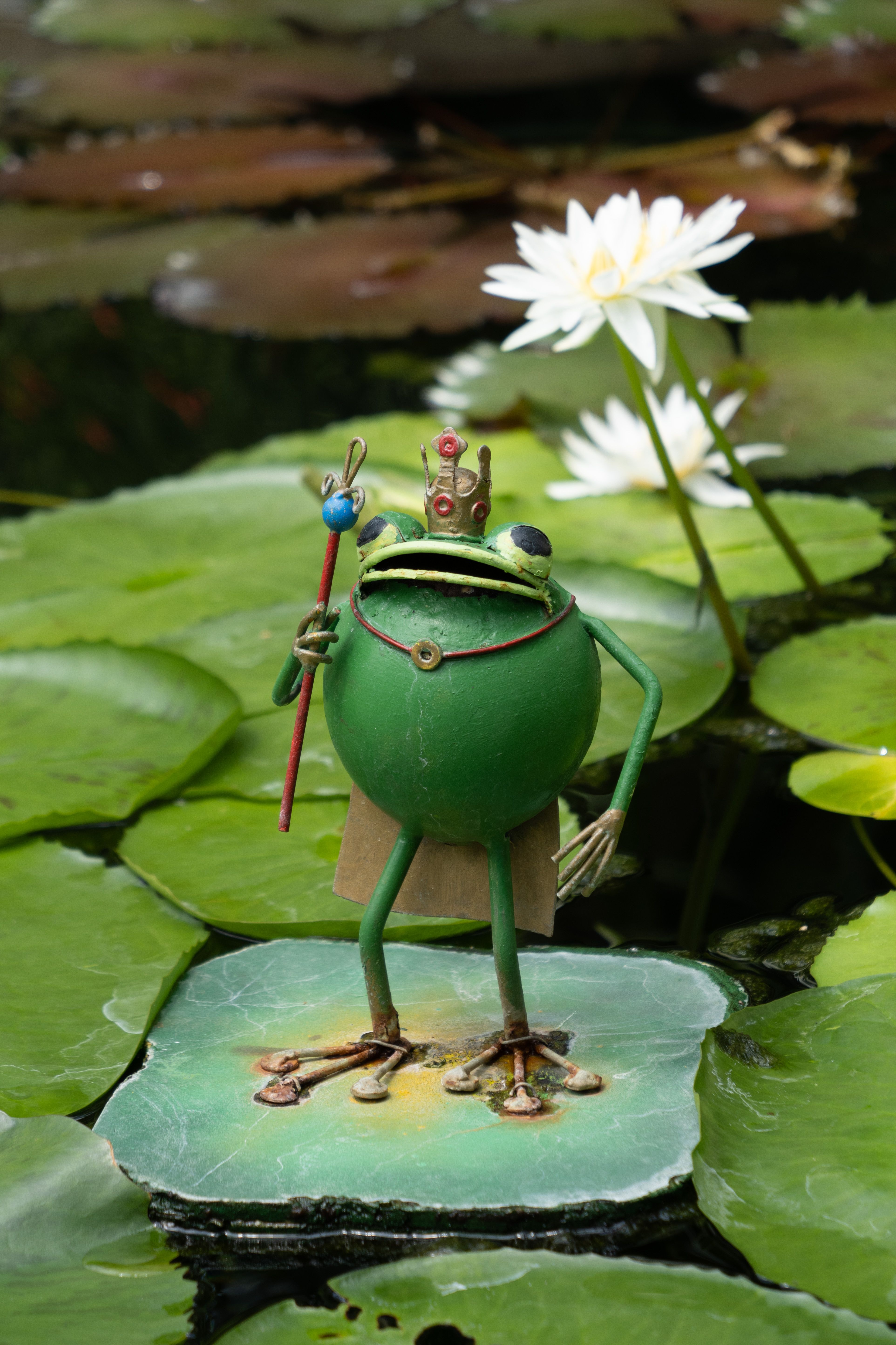 Frog Figure on Pond · Free Stock Photo
