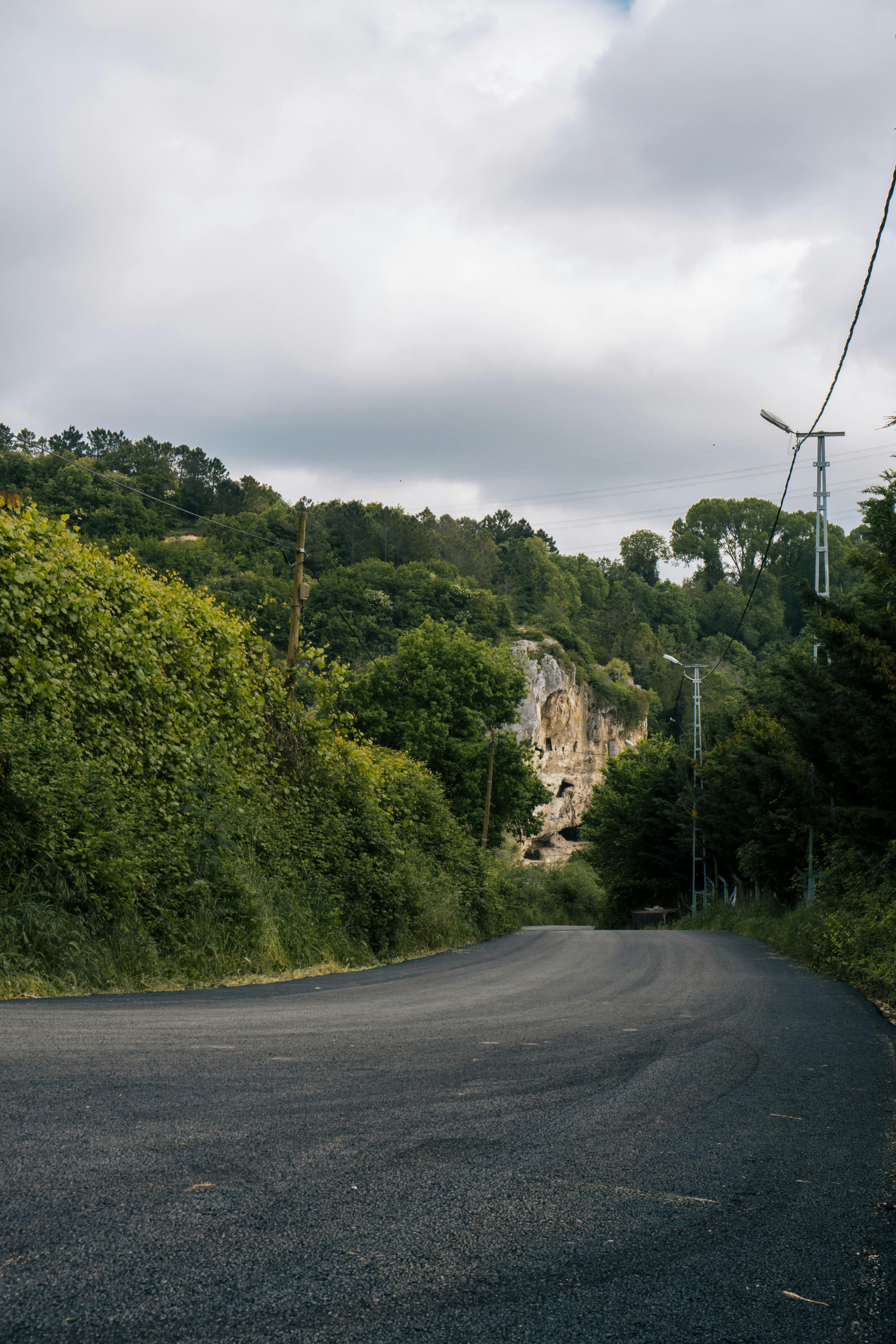 Overcast over Empty Road in Forest · Free Stock Photo