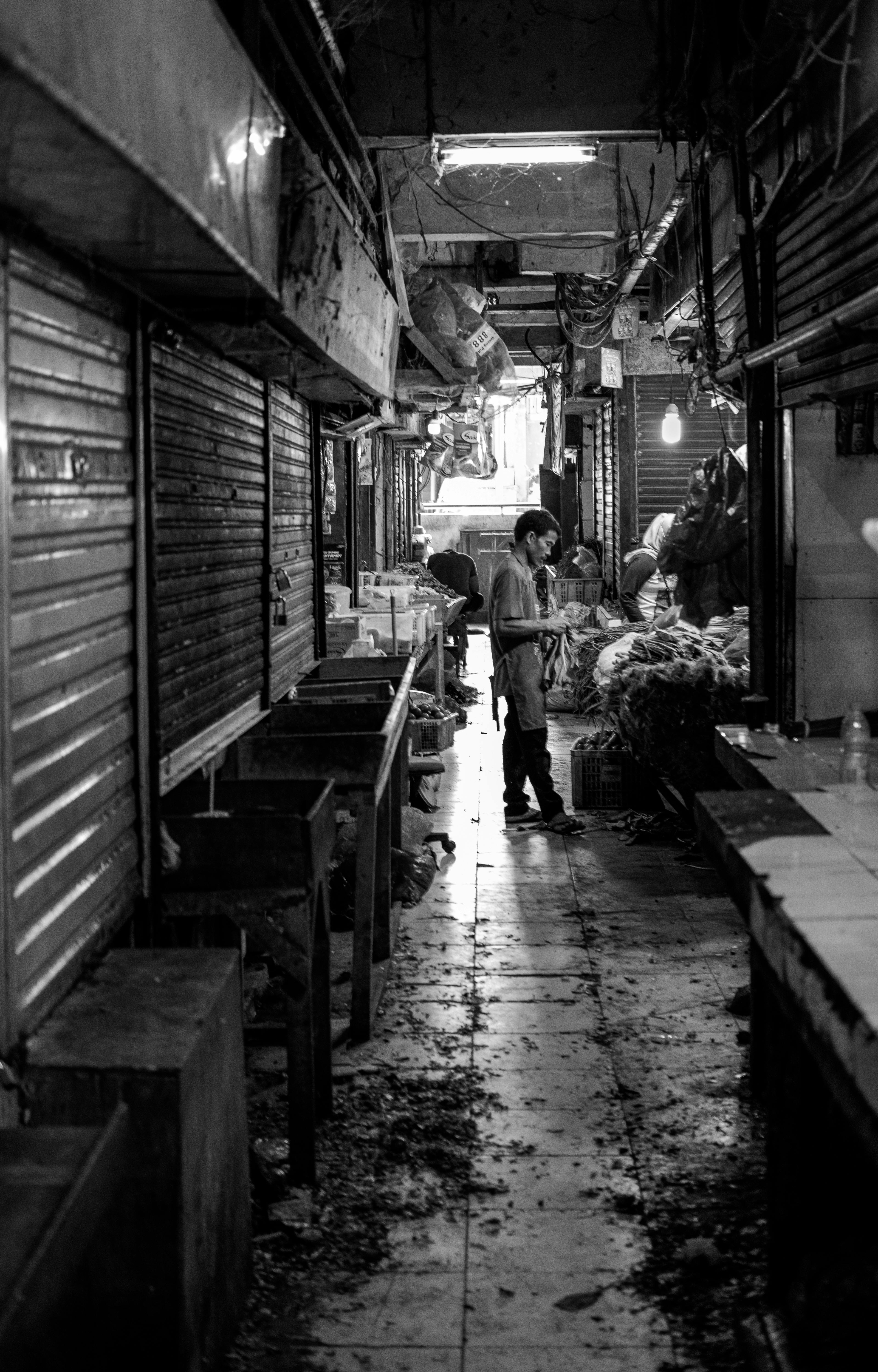 Ff Photos, Download The BEST Free Ff Stock Photos & HD Images