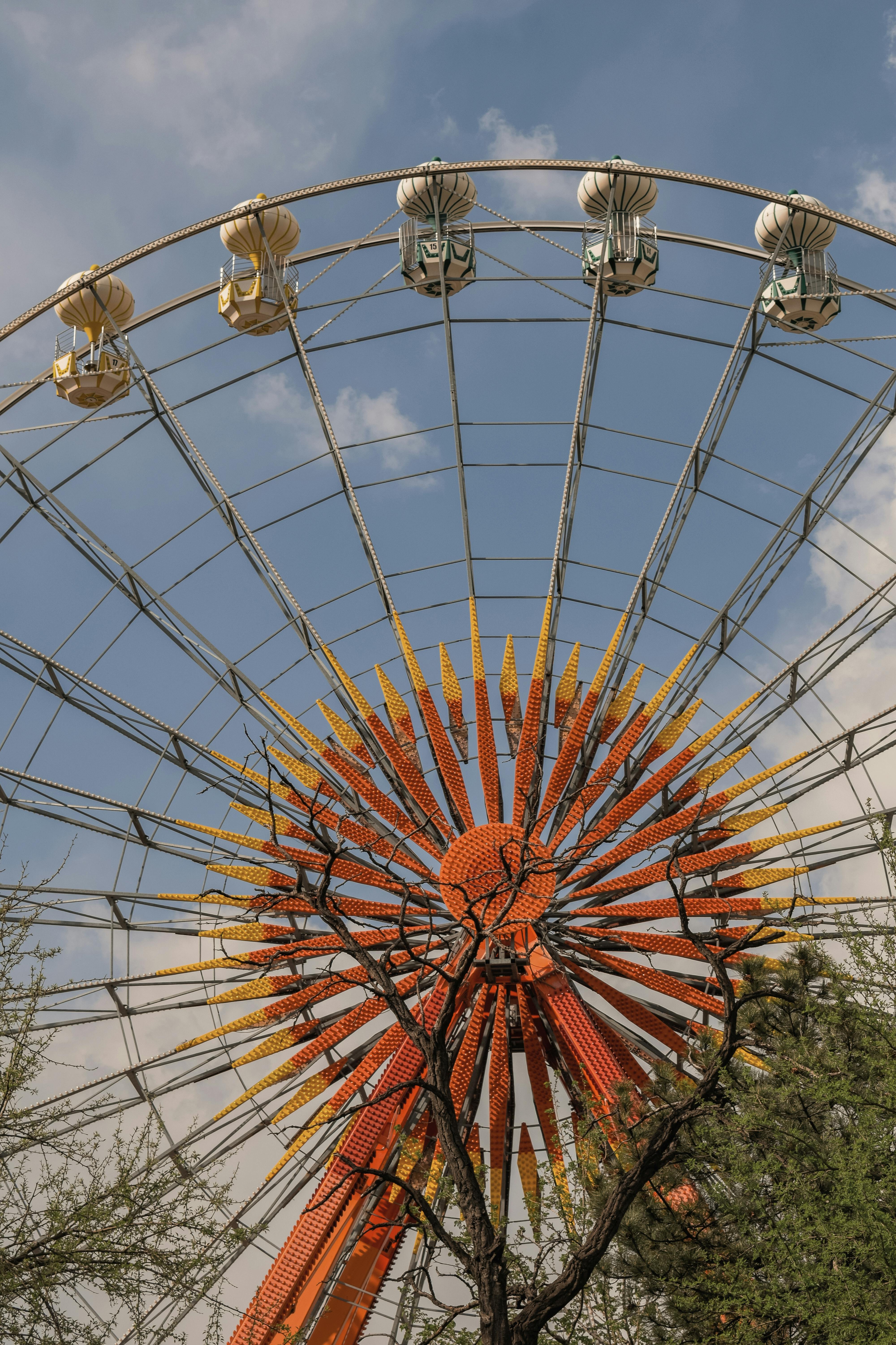 Tree under Ferris Wheel · Free Stock Photo