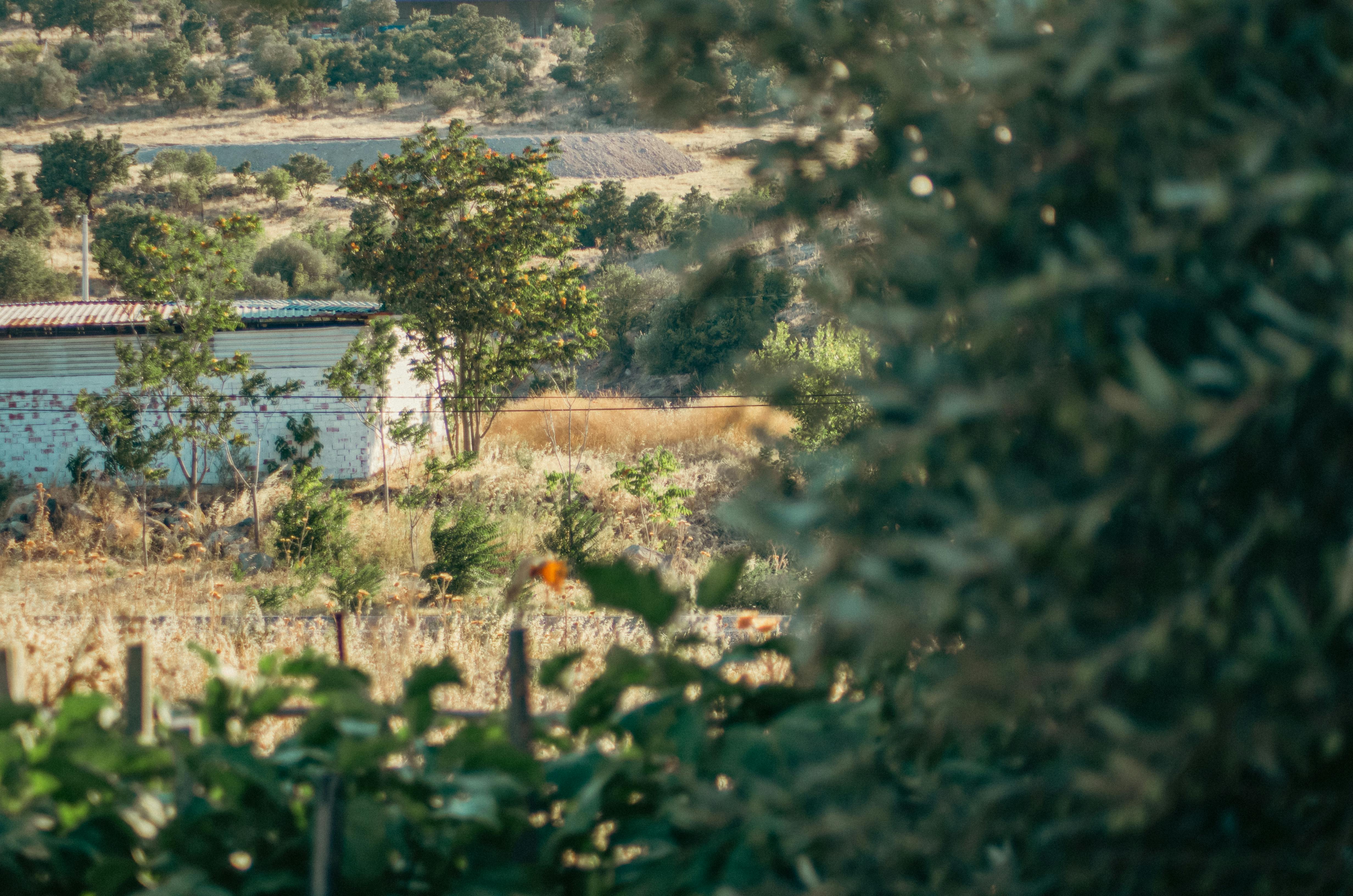 Mert Erim - Photography