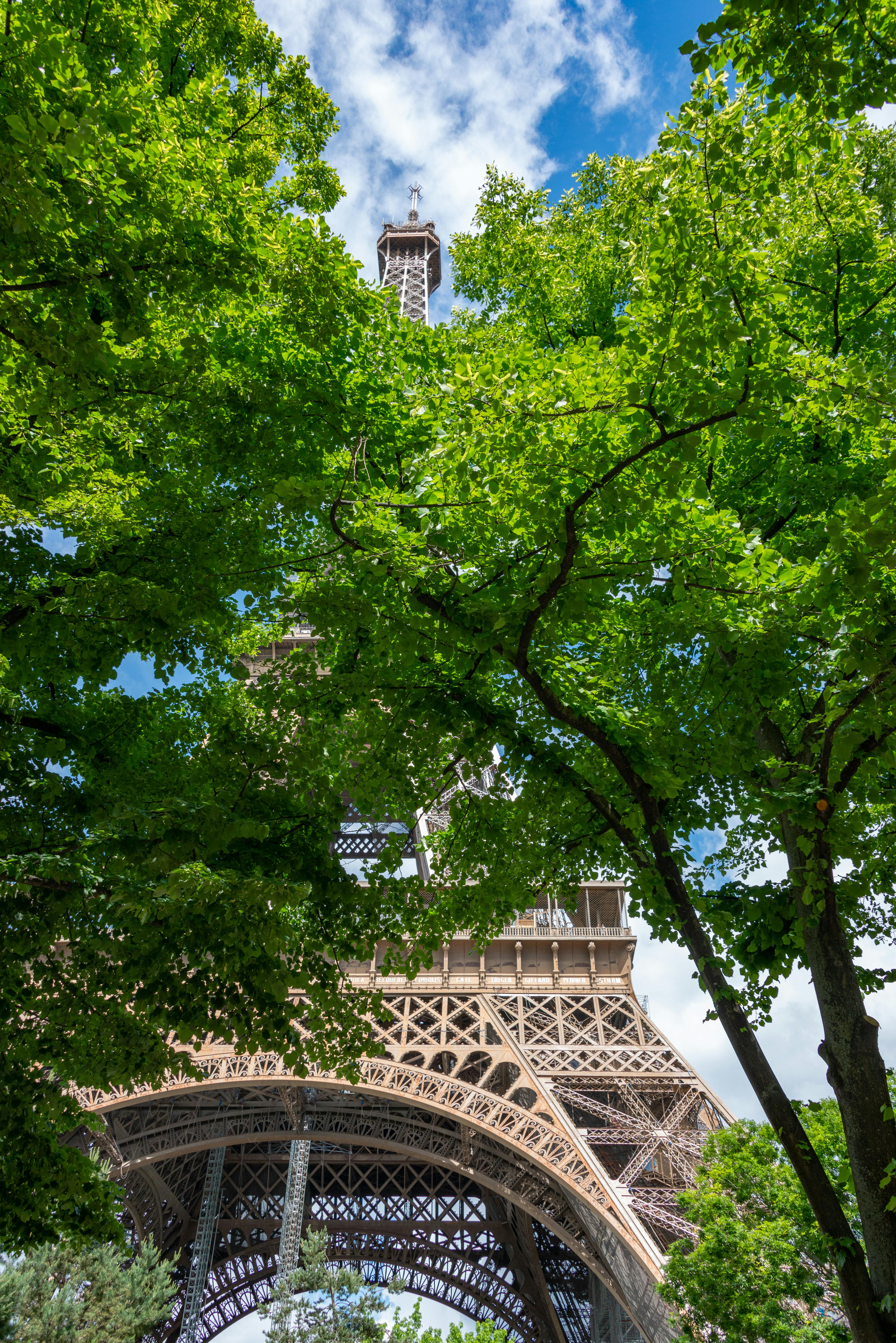 Eiffel Tower Seen Through Lush Summer Greenery, Paris, France · Free ...