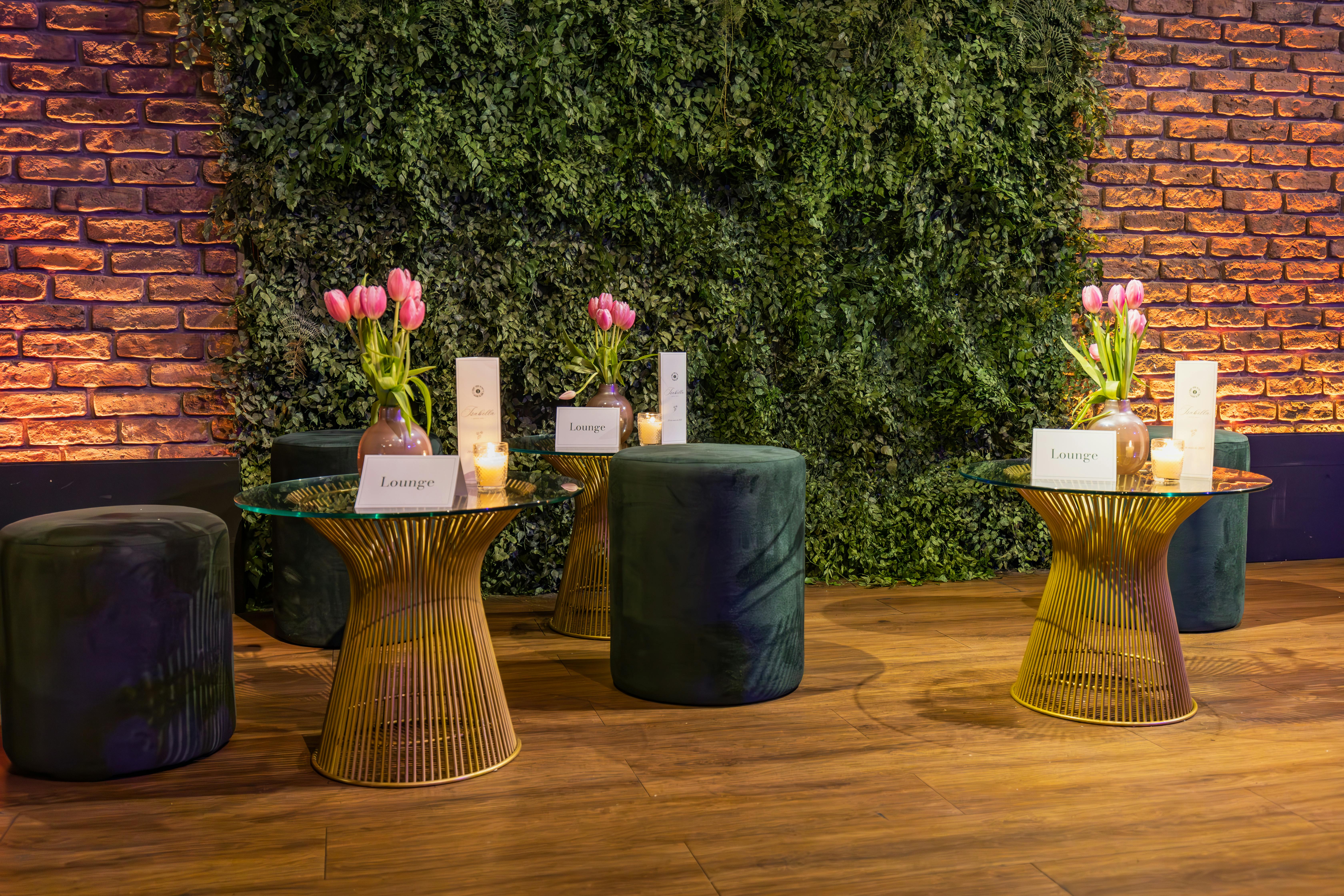 Ivied Wall Photos, Download The BEST Free Ivied Wall Stock Photos & HD ...