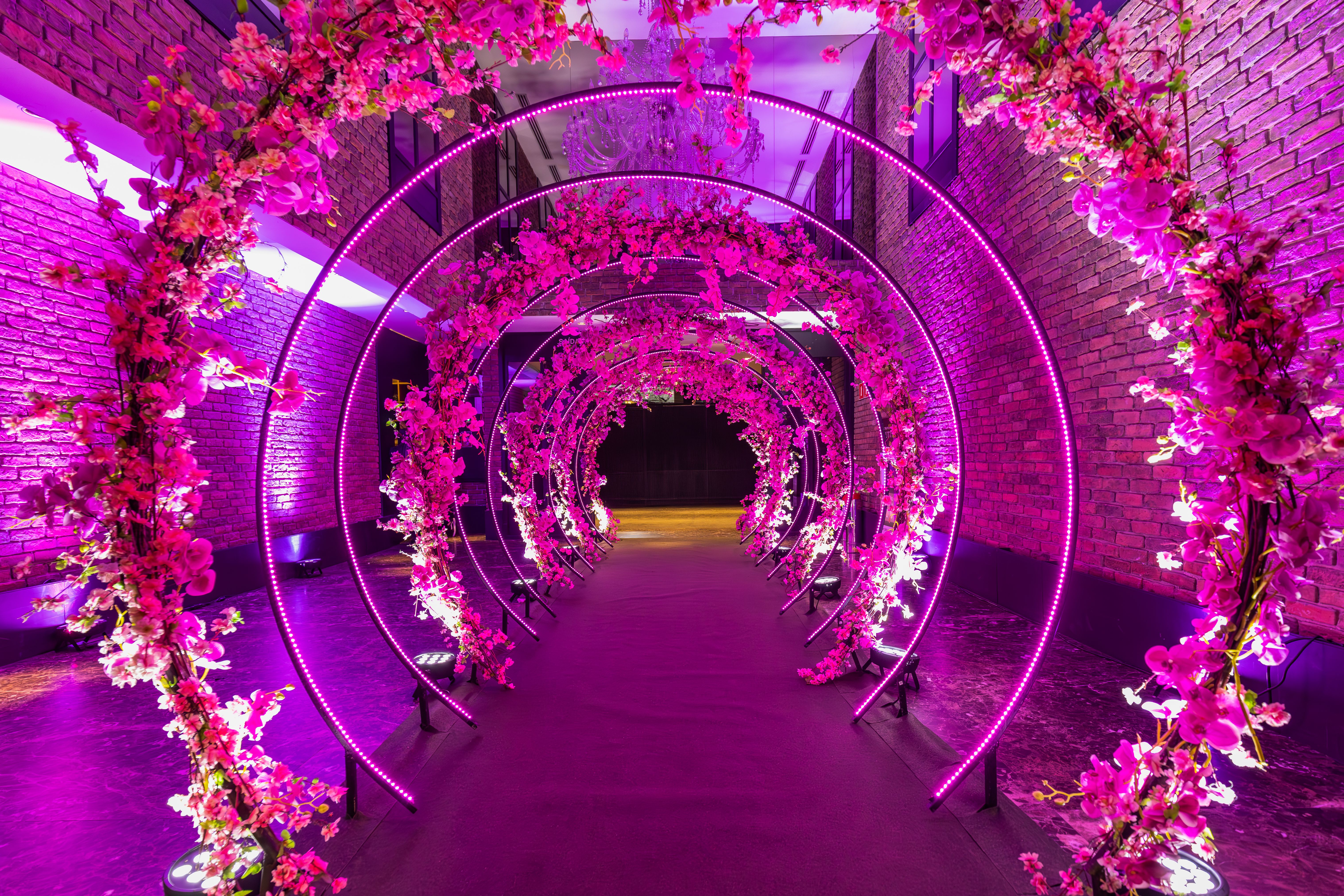 Flowers Garlands over Corridor · Free Stock Photo