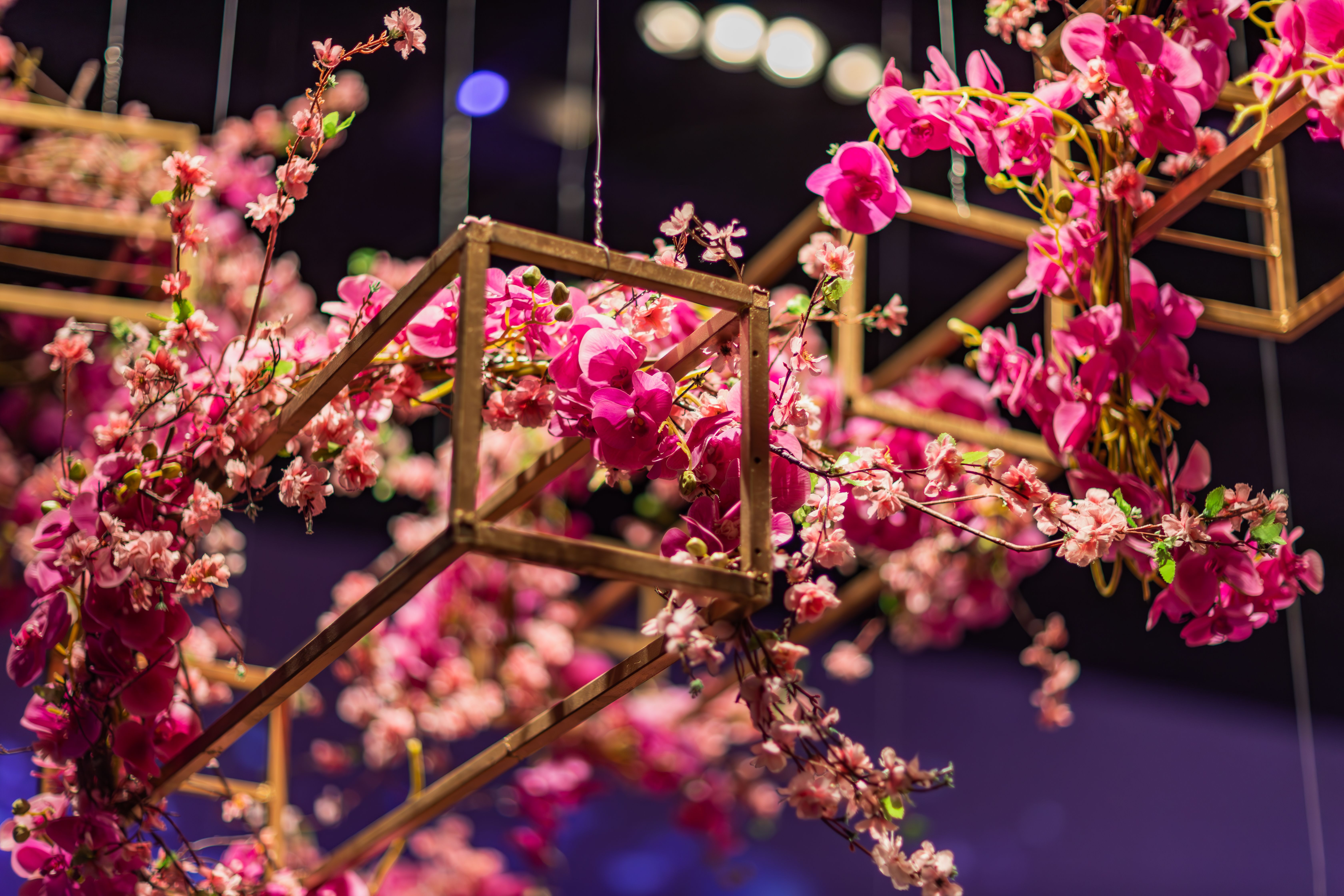 Pink Flower Arrangement at a Banquet · Free Stock Photo