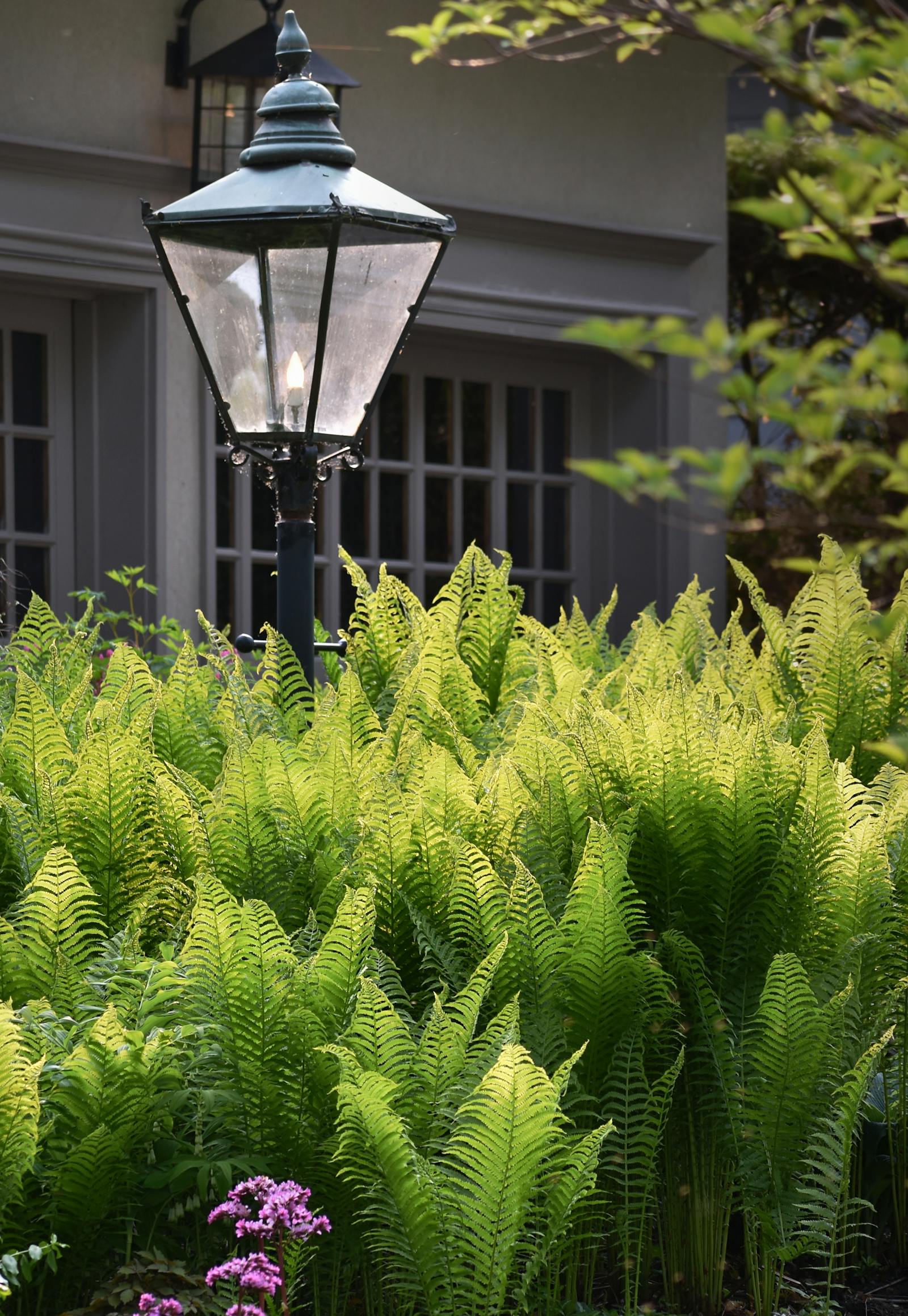 Greenary Photos, Download The BEST Free Greenary Stock Photos & HD Images