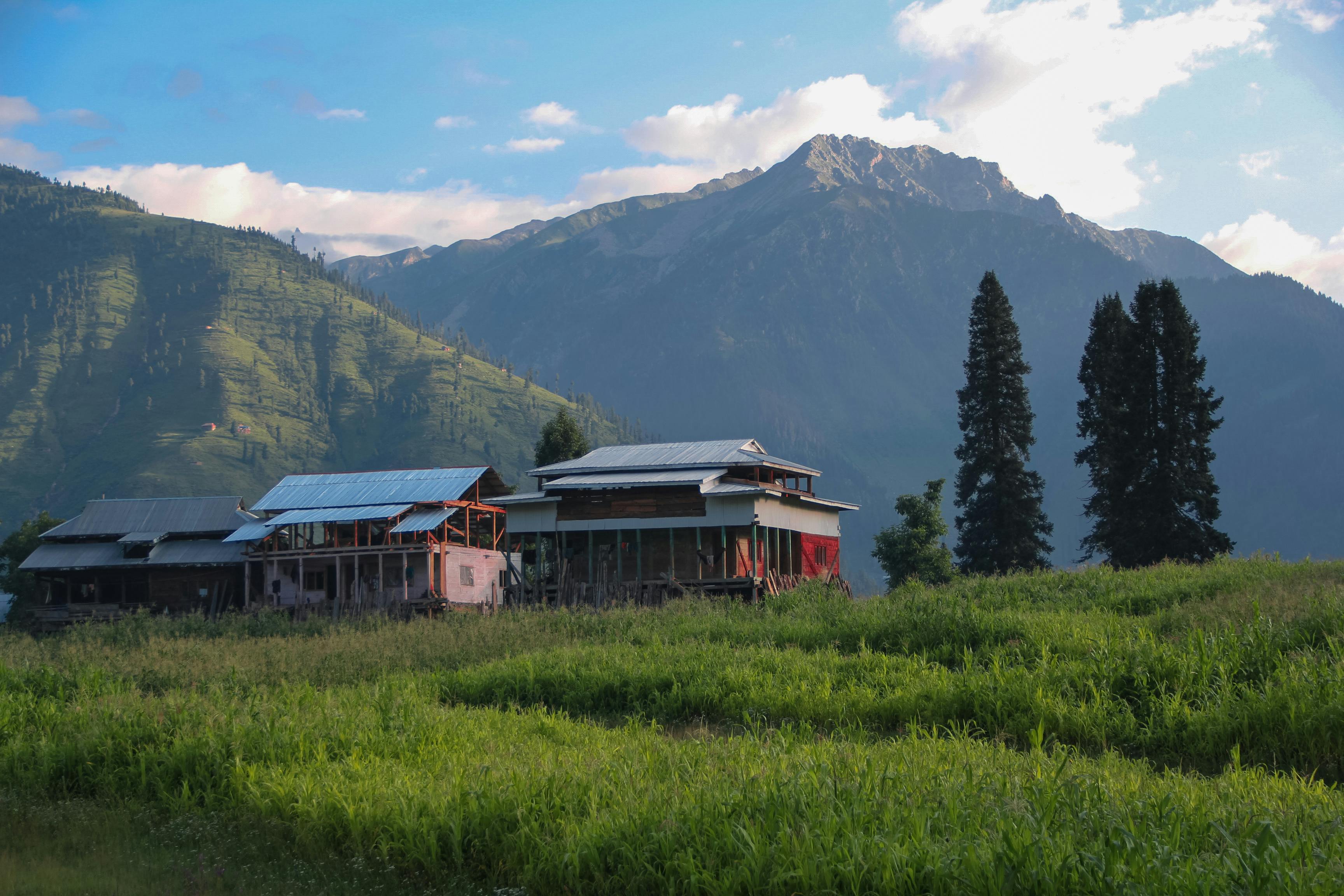 Rubas Maqbool - Fotografía